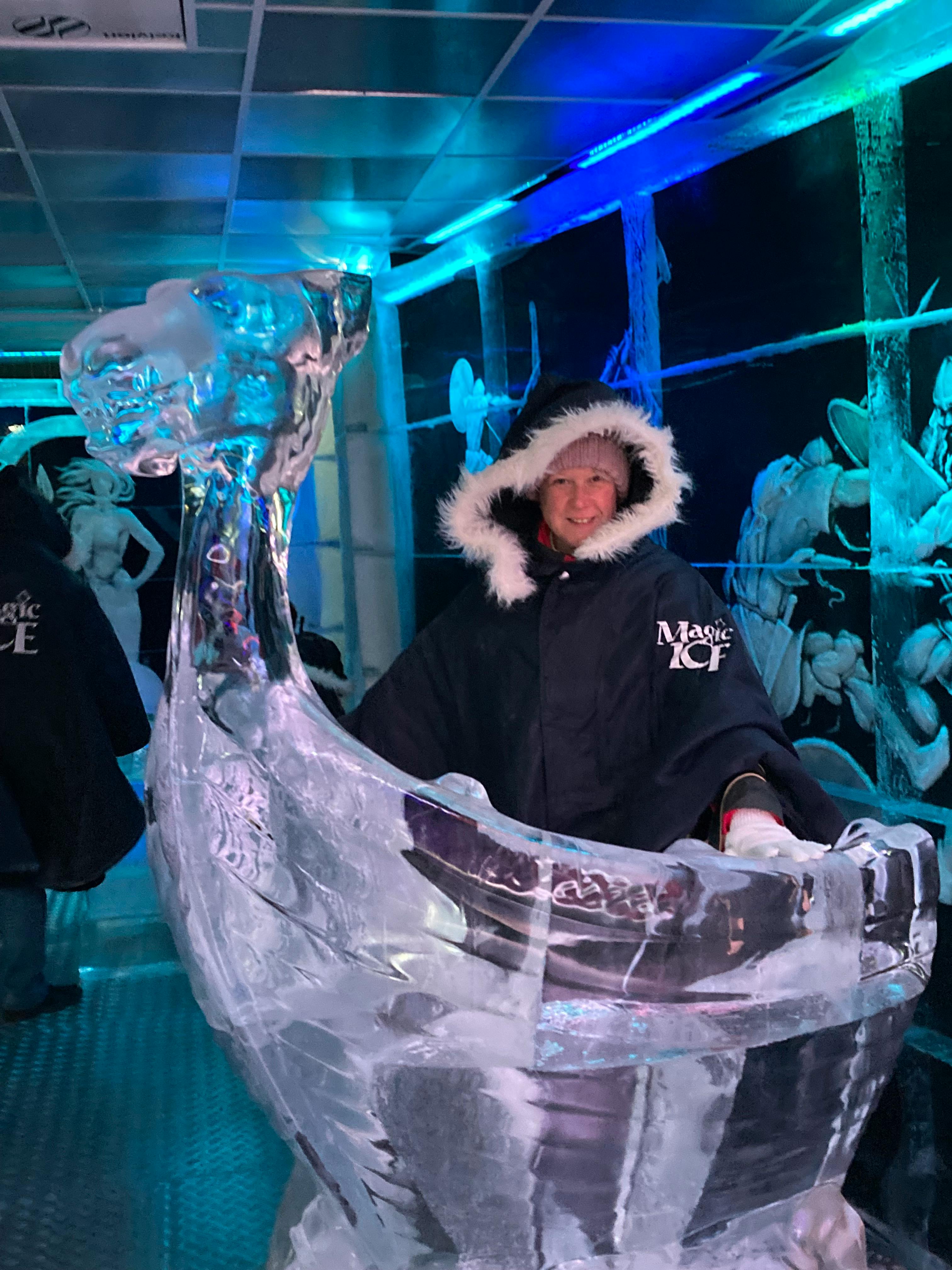Magic Ice Reykjavik Tickets - Reykjavík | Tiqets.com