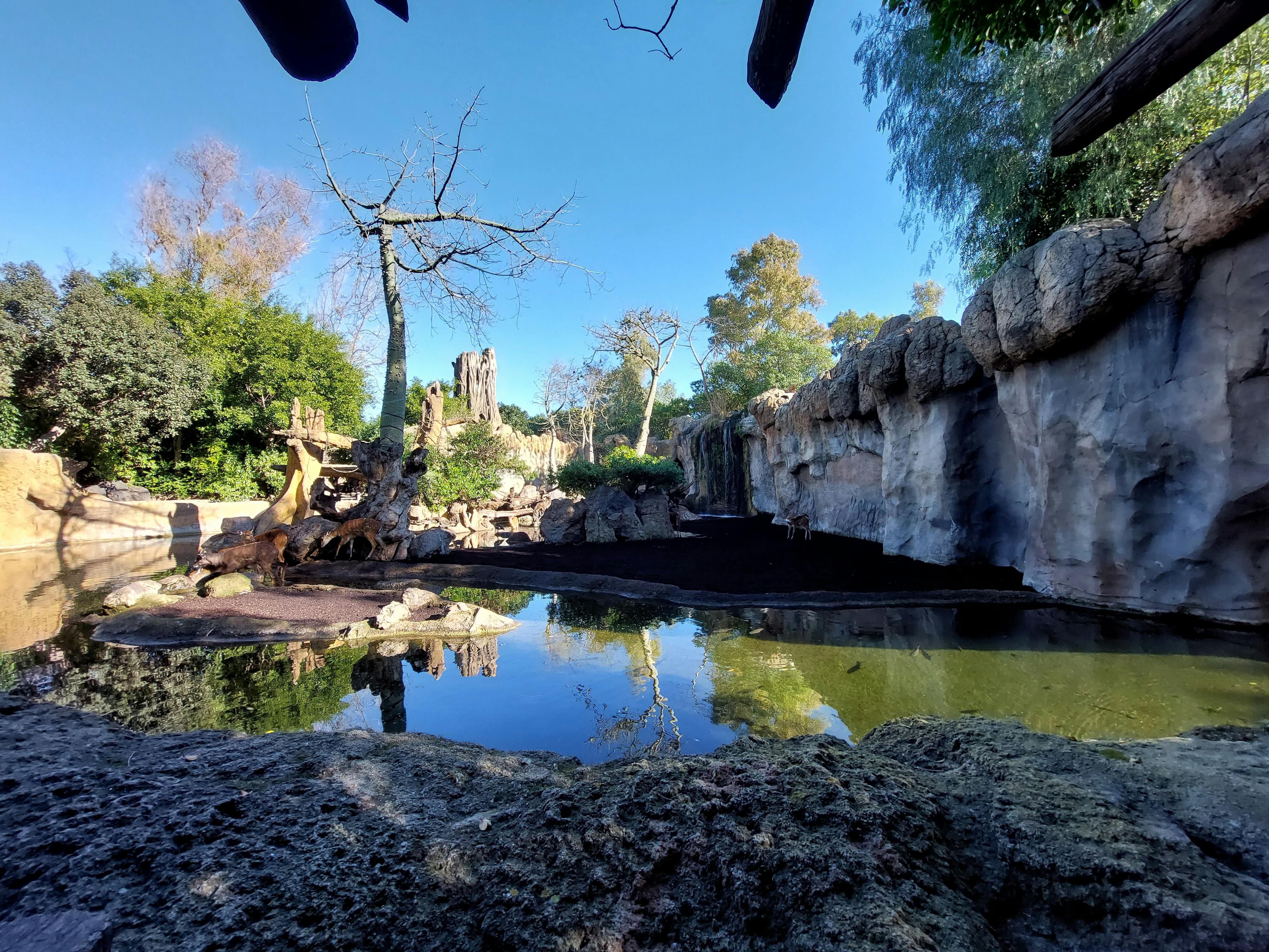 Bioparc Valencia Tickets - València | Tiqets.com