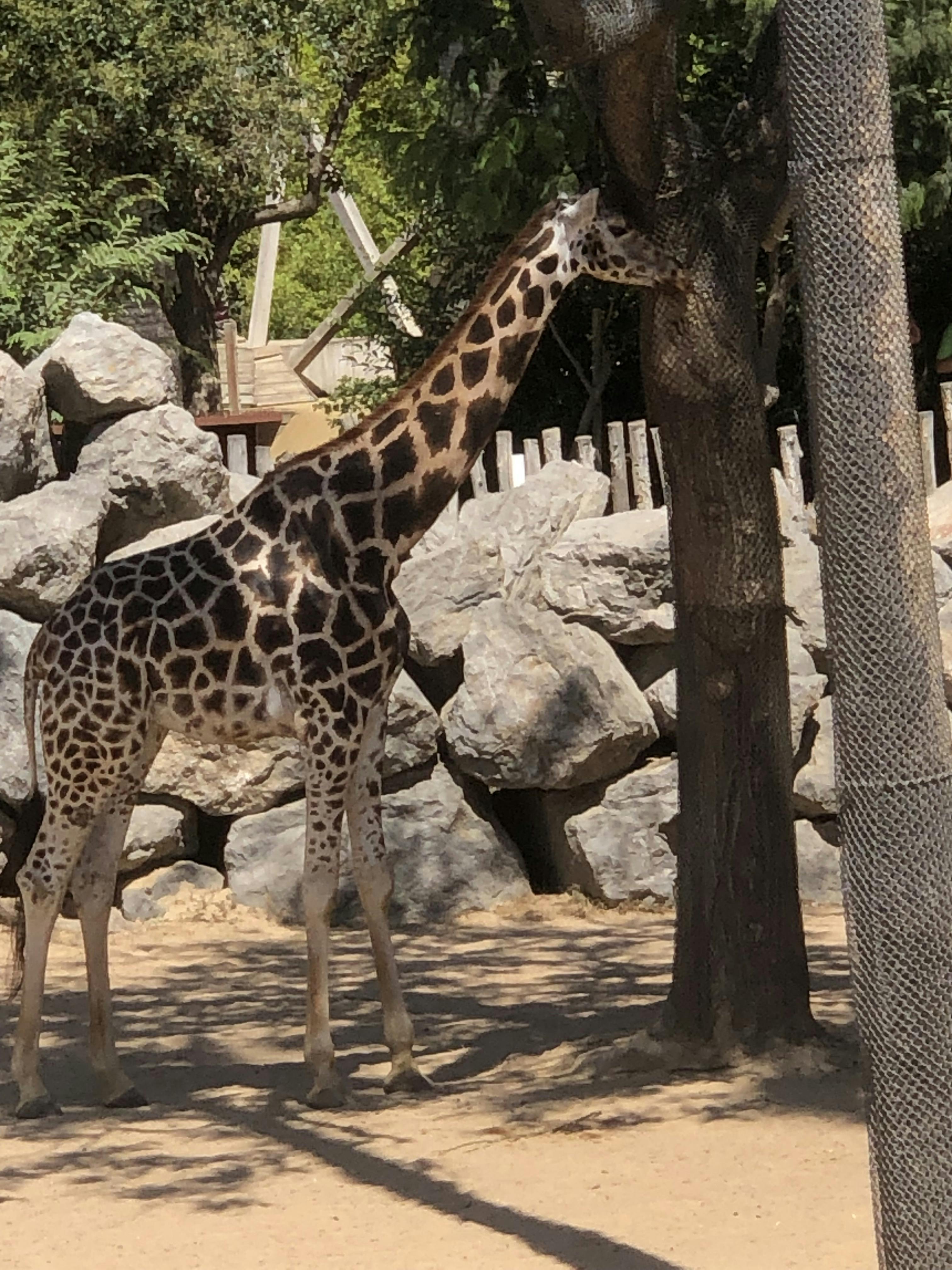 Barcelona Zoo Tickets | Tiqets