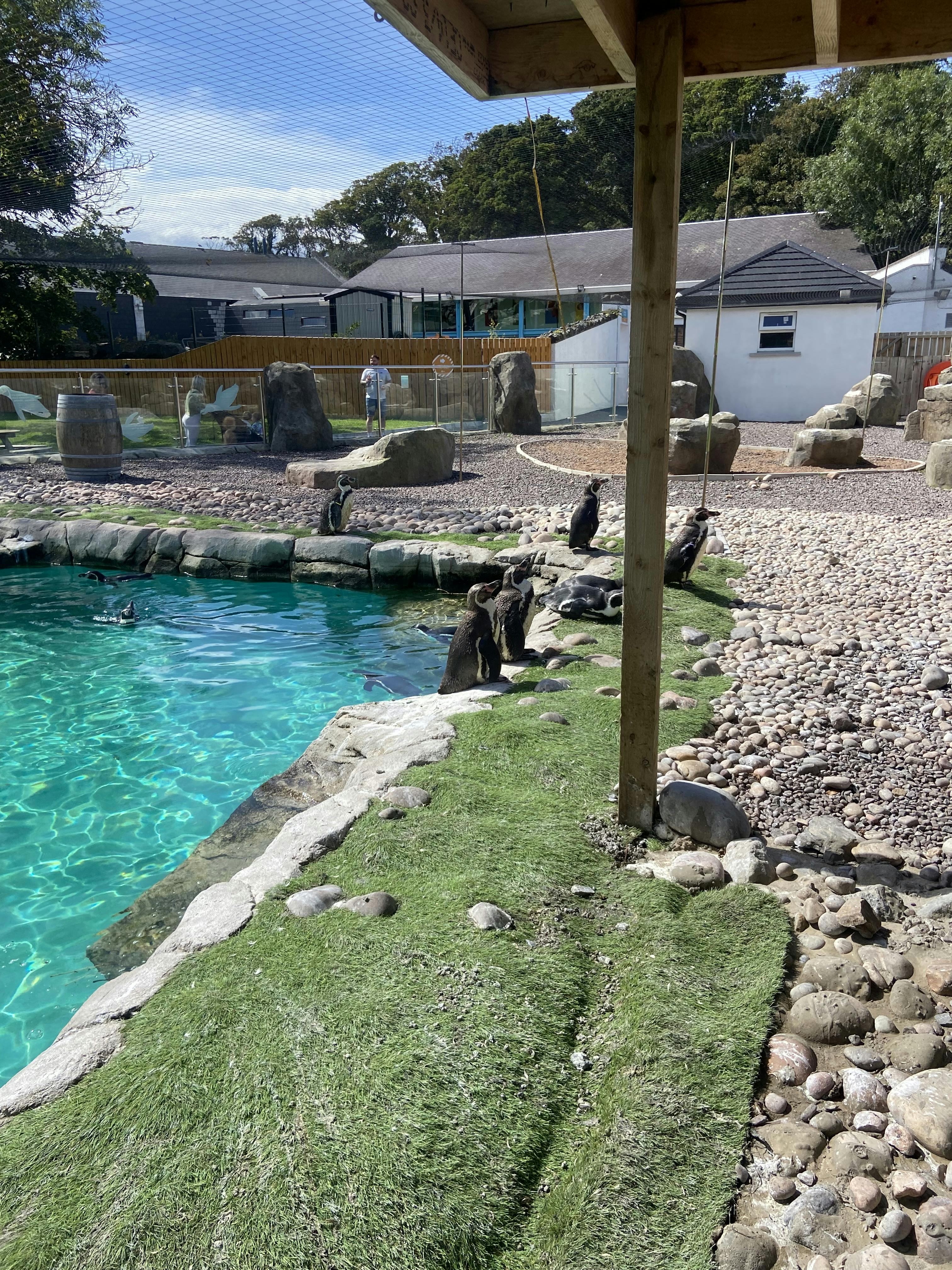 Exploris Aquarium tickets | Portaferry