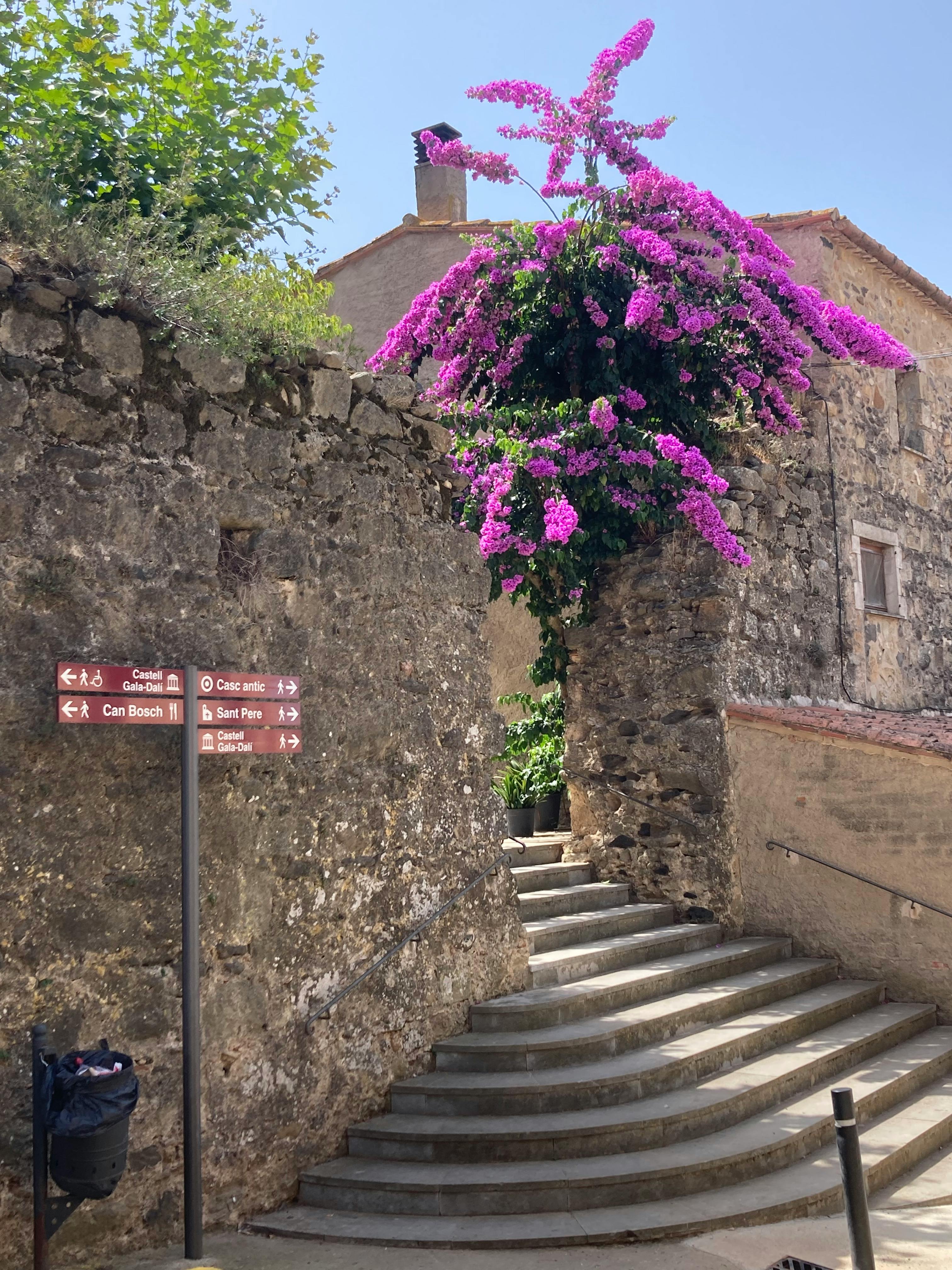 Entradas para Castillo Gala Dalí (castillo de Púbol) - Púbol | Tiqets.com