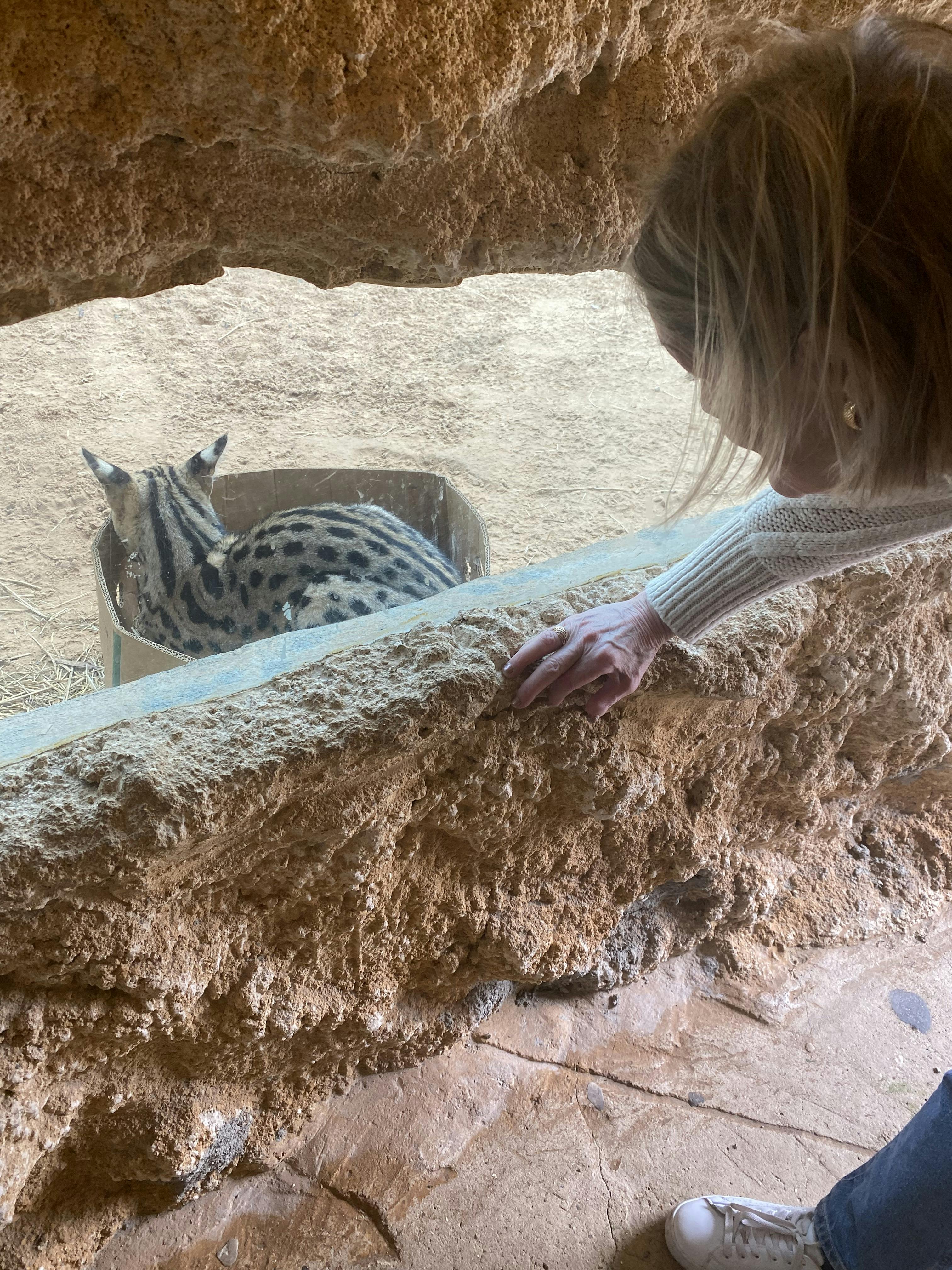 Emirates Park Zoo tickets | Abu Dhabi