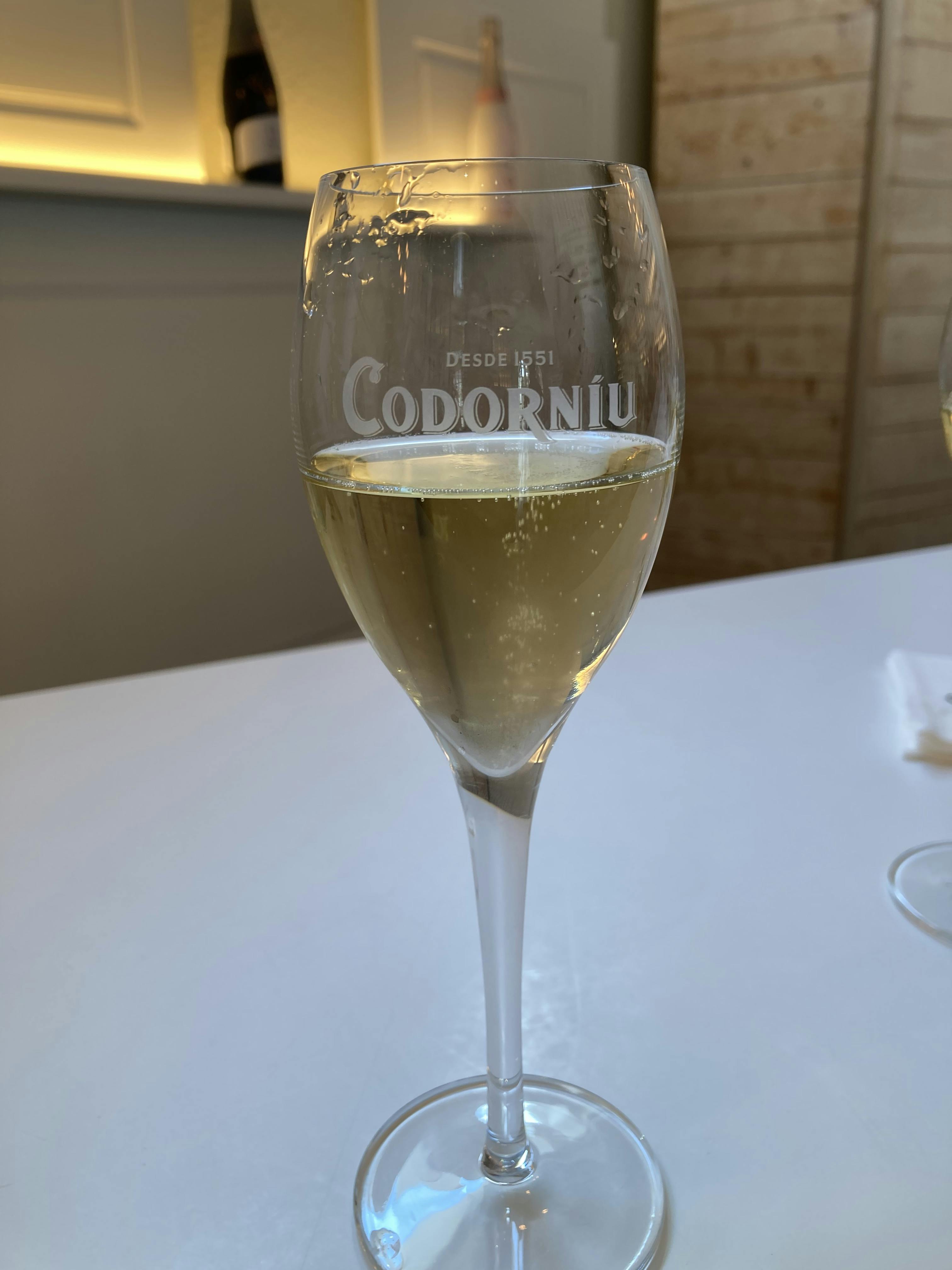 Codorníu Winery tickets | Sant Sadurní d'Anoia