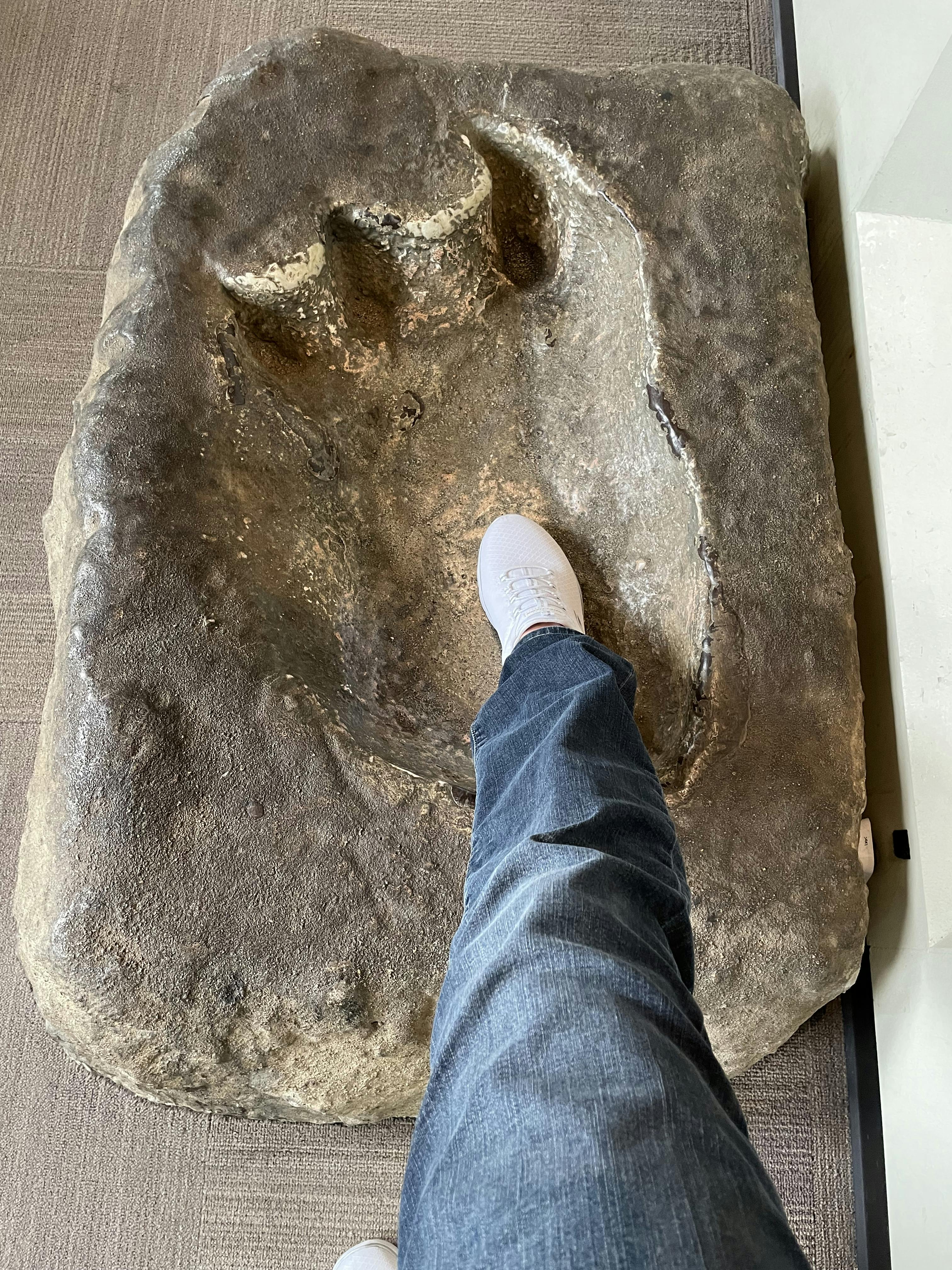 The Field Museum Tickets - Chicago | Tiqets.com