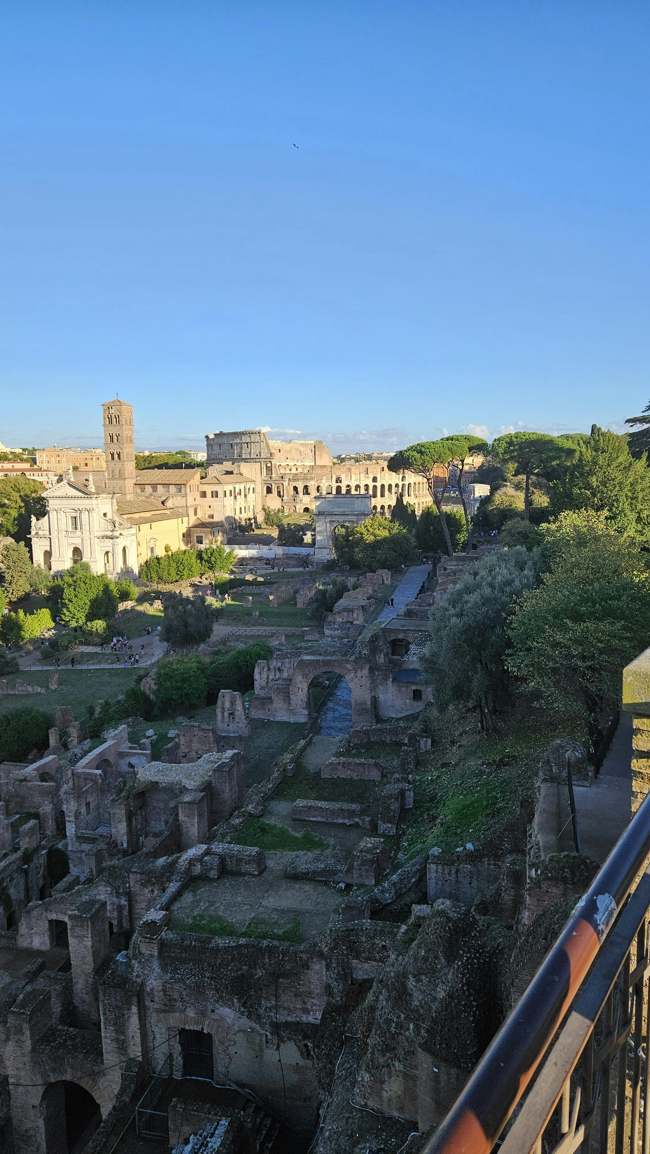 Roman Ruins Pass: Forum, Palatine Hill & Imperial Forum