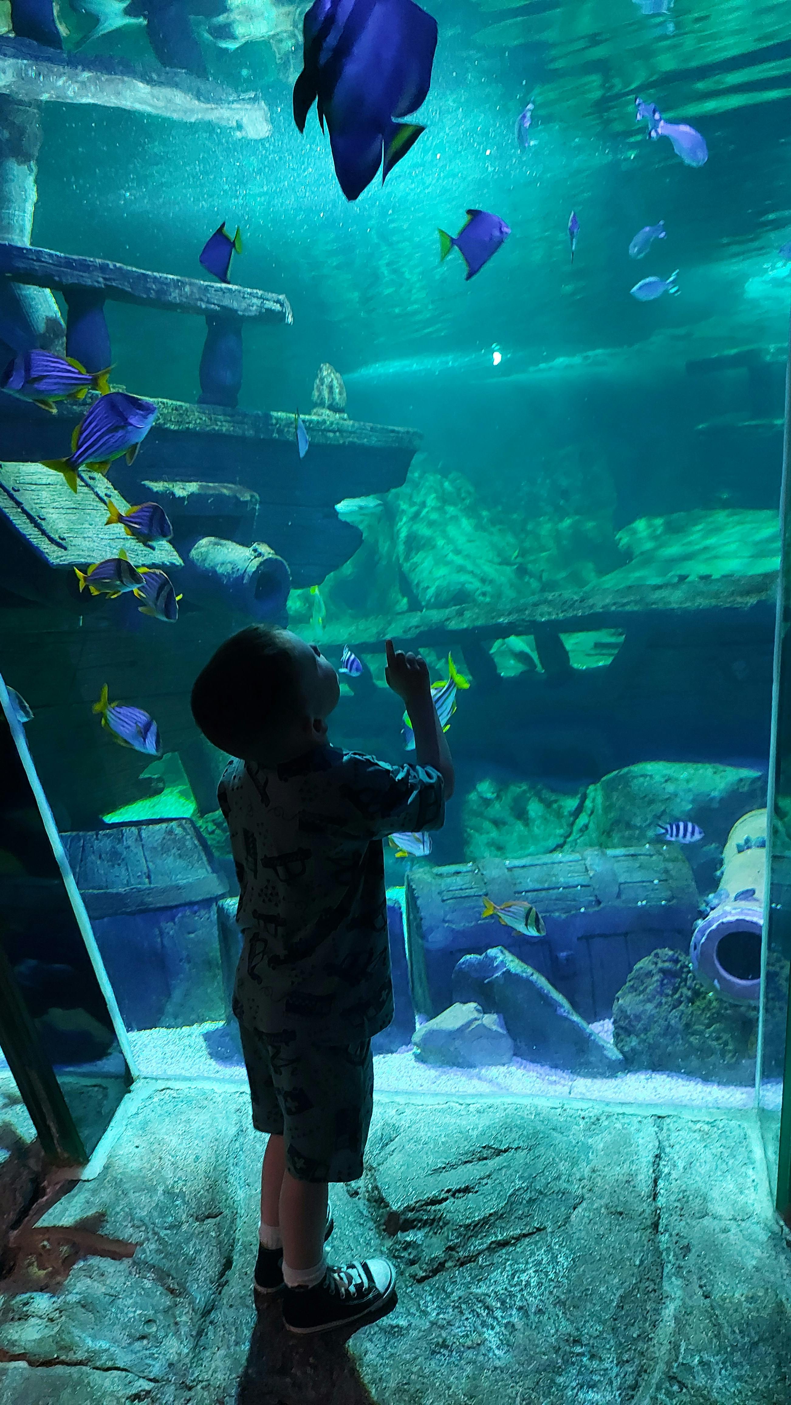 Exploris Aquarium, Portaferry | Book Tickets, Tours & More