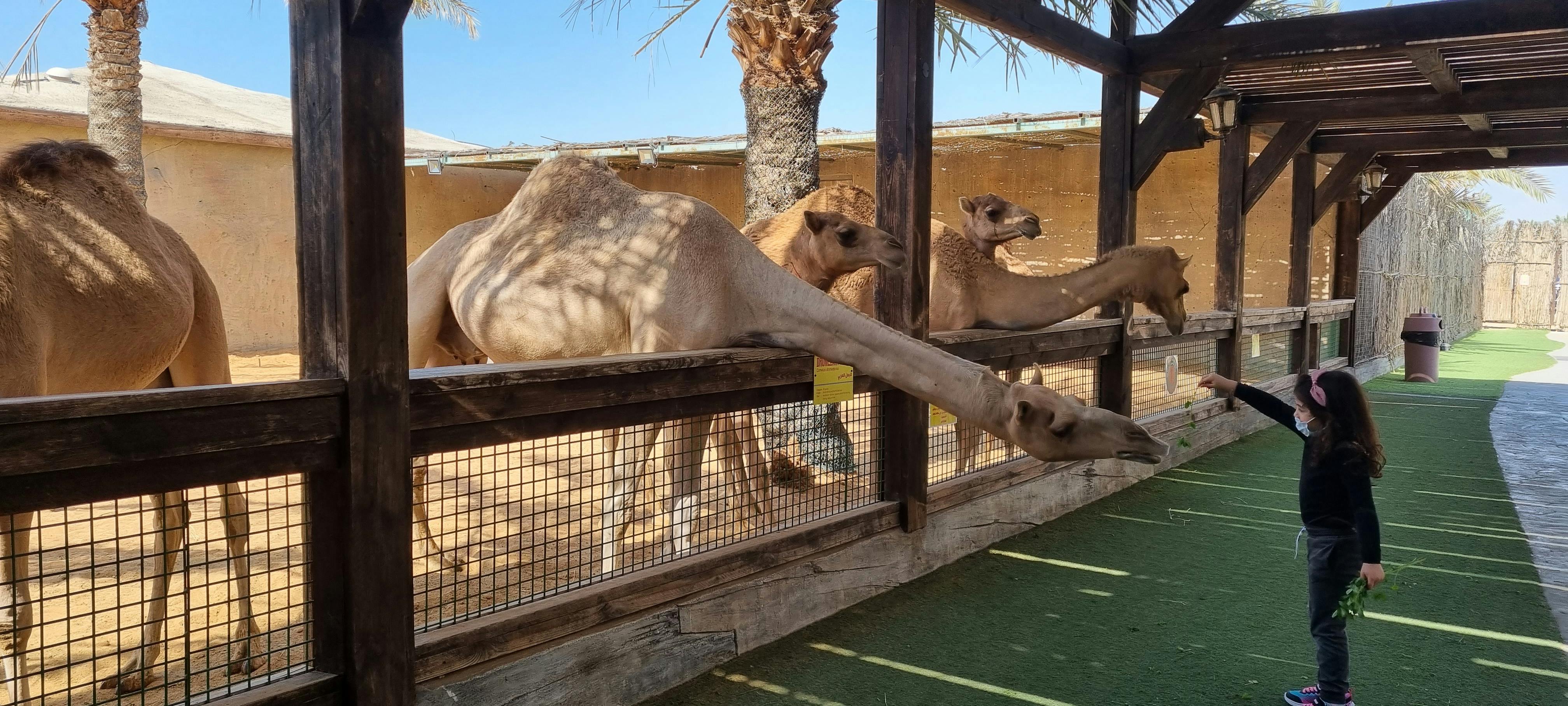 Emirates Park Zoo tickets | Abu Dhabi