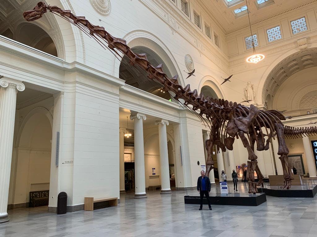 The Field Museum of Natural History