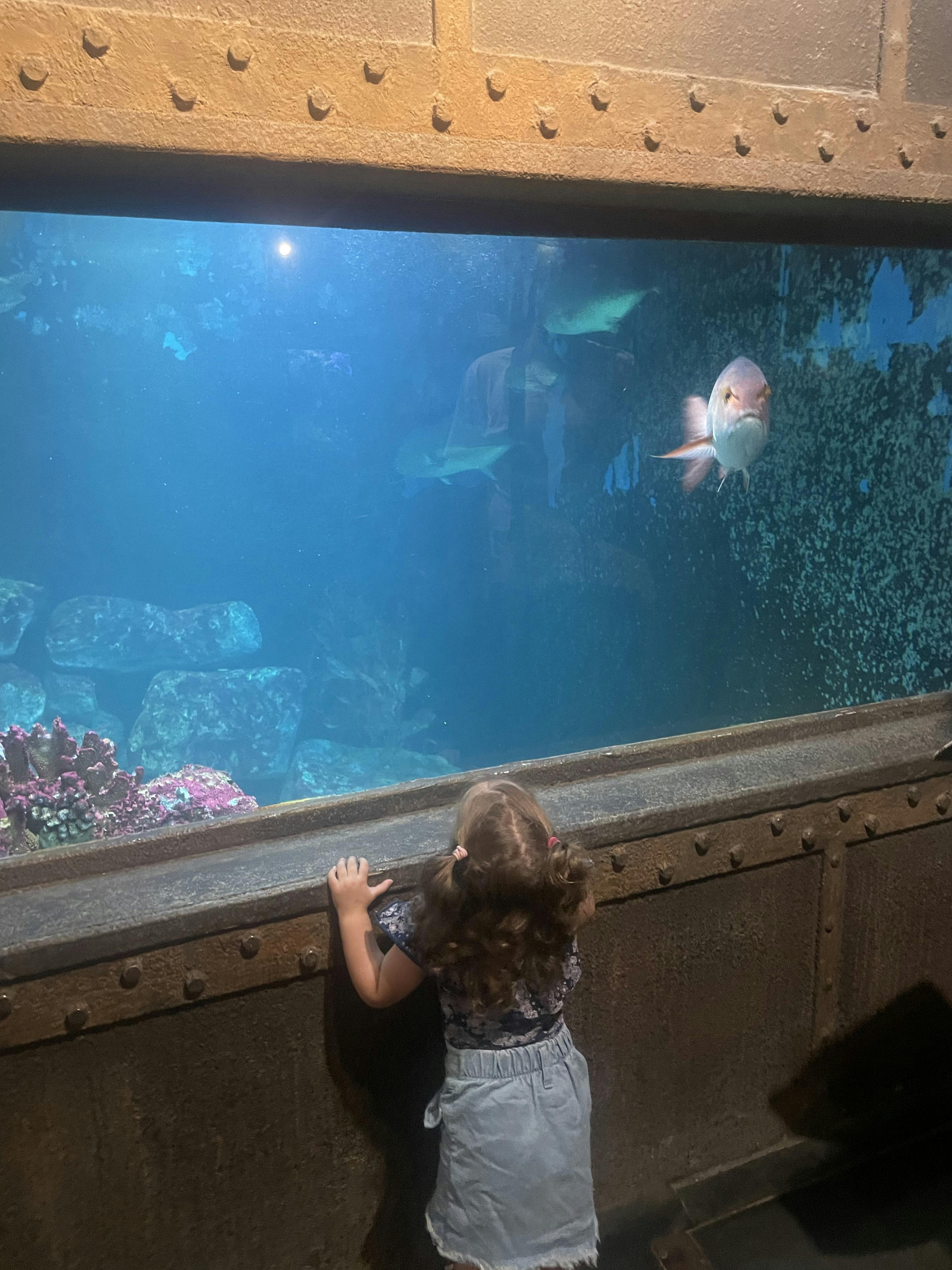 Billets pour l'Aquarium d'Amnéville, Lorraine | Tiqets