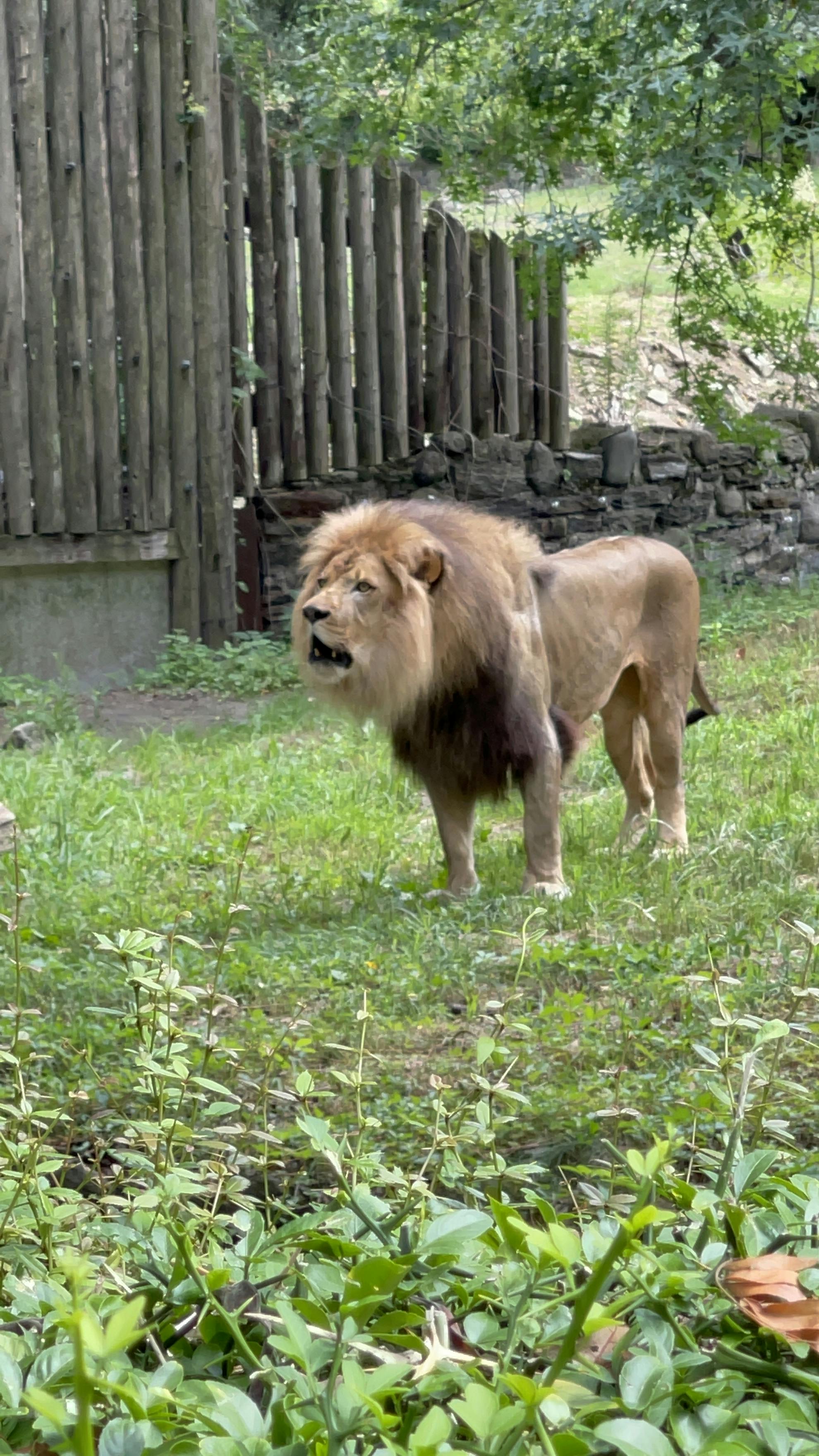 Tickets Bronx Zoo - New York | Tiqets.com