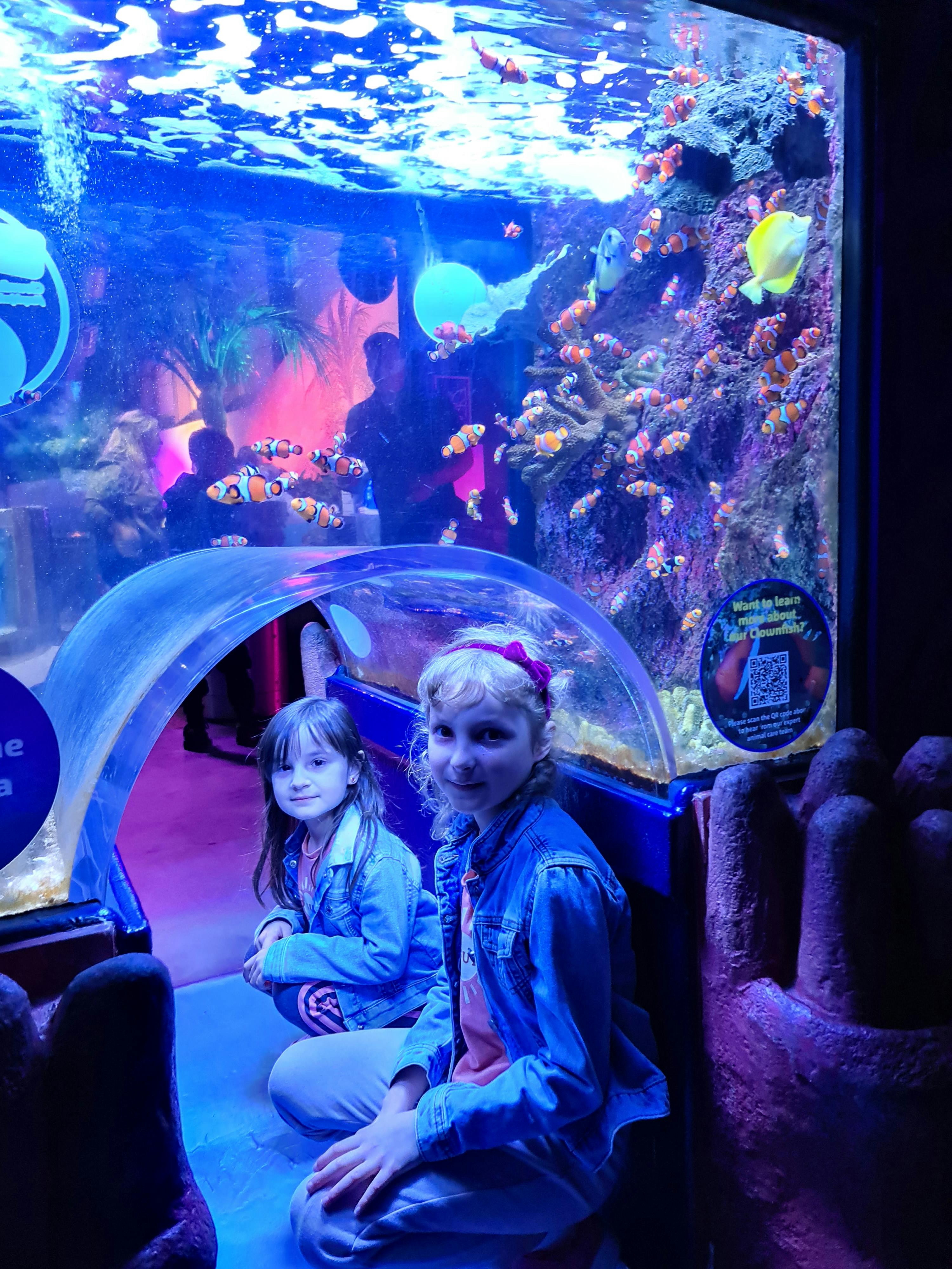 Get tickets for SEA LIFE Birmingham | Tiqets