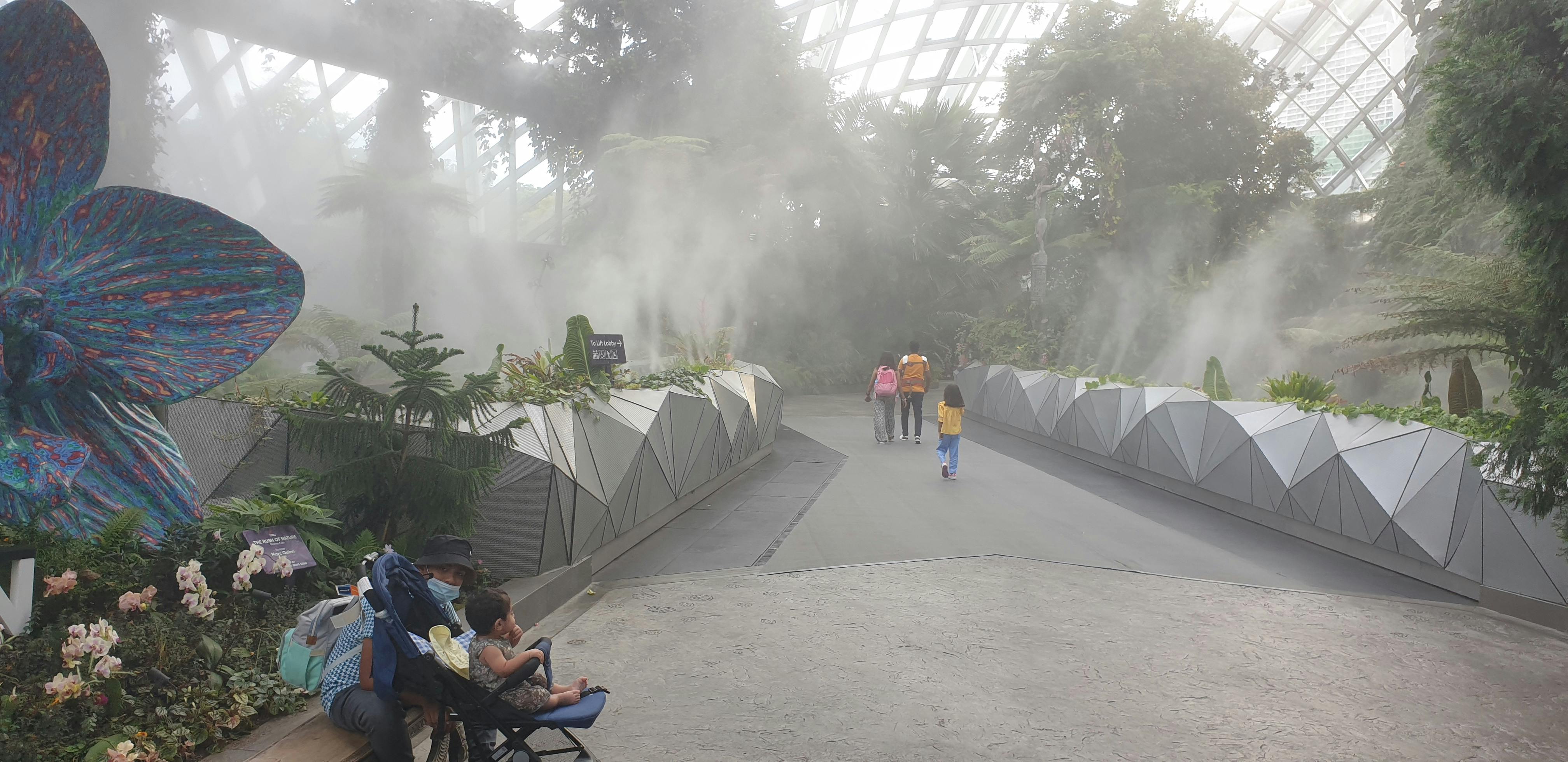 Flower Dome Tickets - Singapore | Tiqets.com