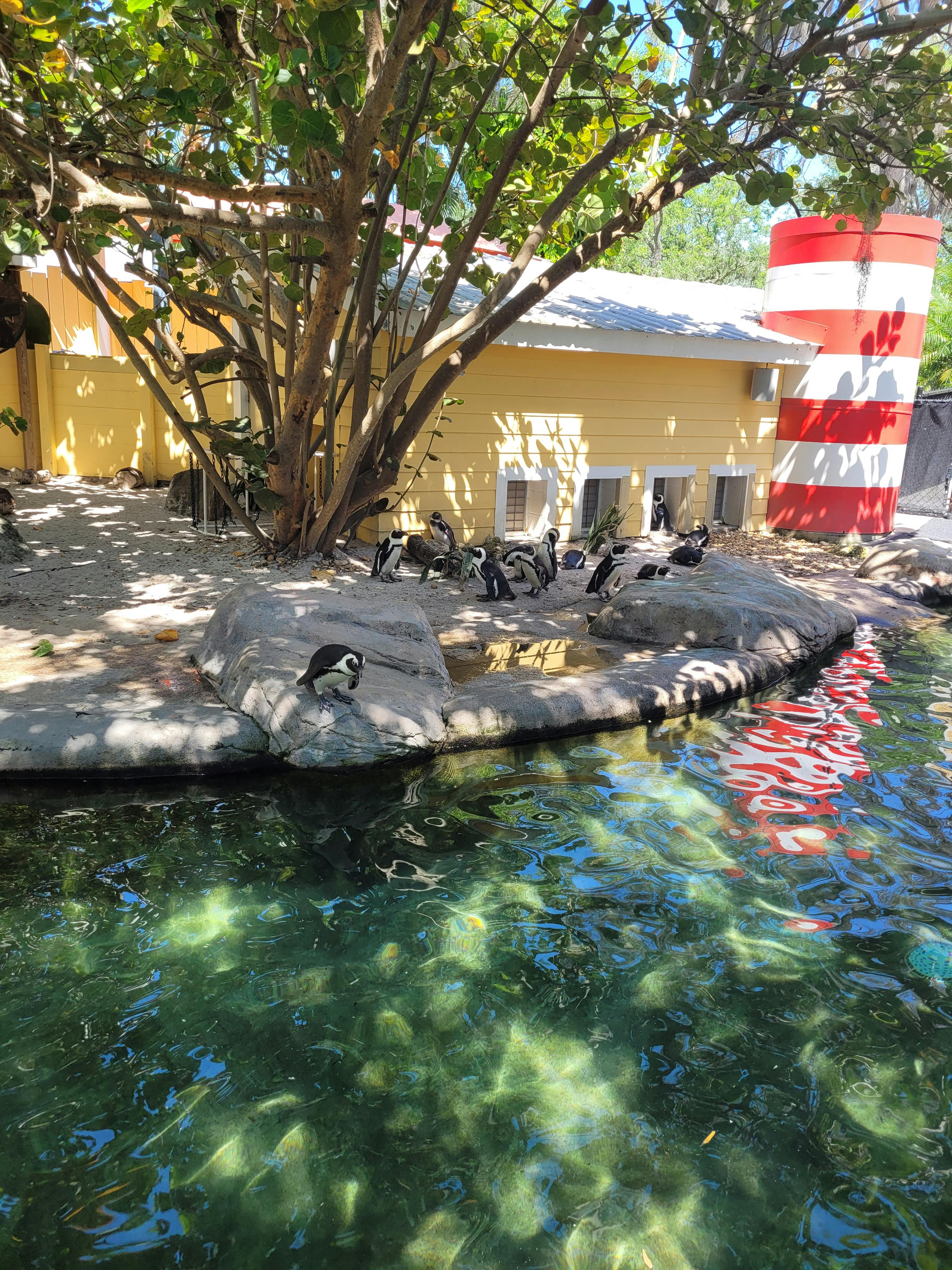Tampa ZooQuarium: ZooTampa & Florida Aquarium | Tiqets
