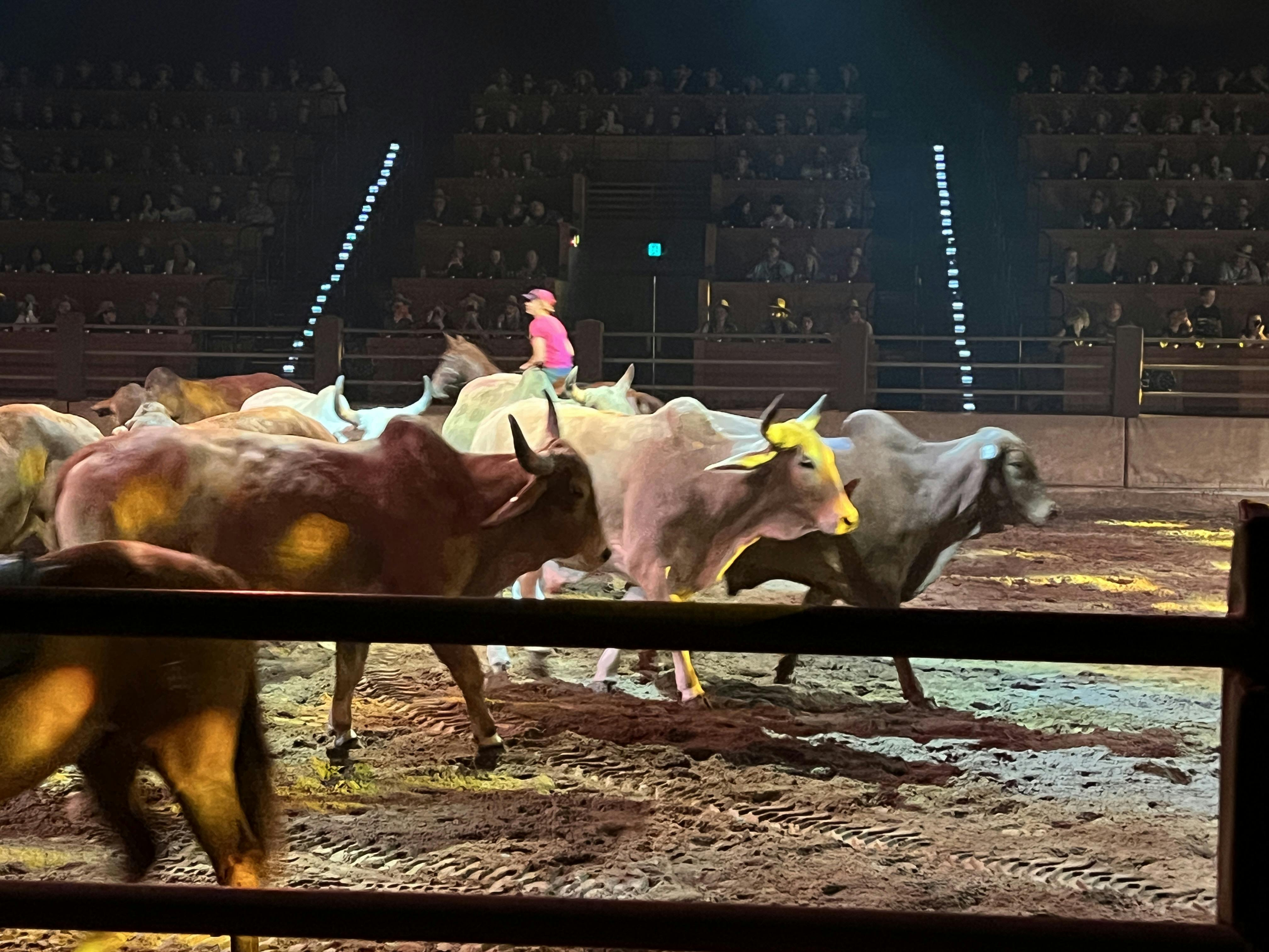Australian Outback Spectacular tickets | Oxenford