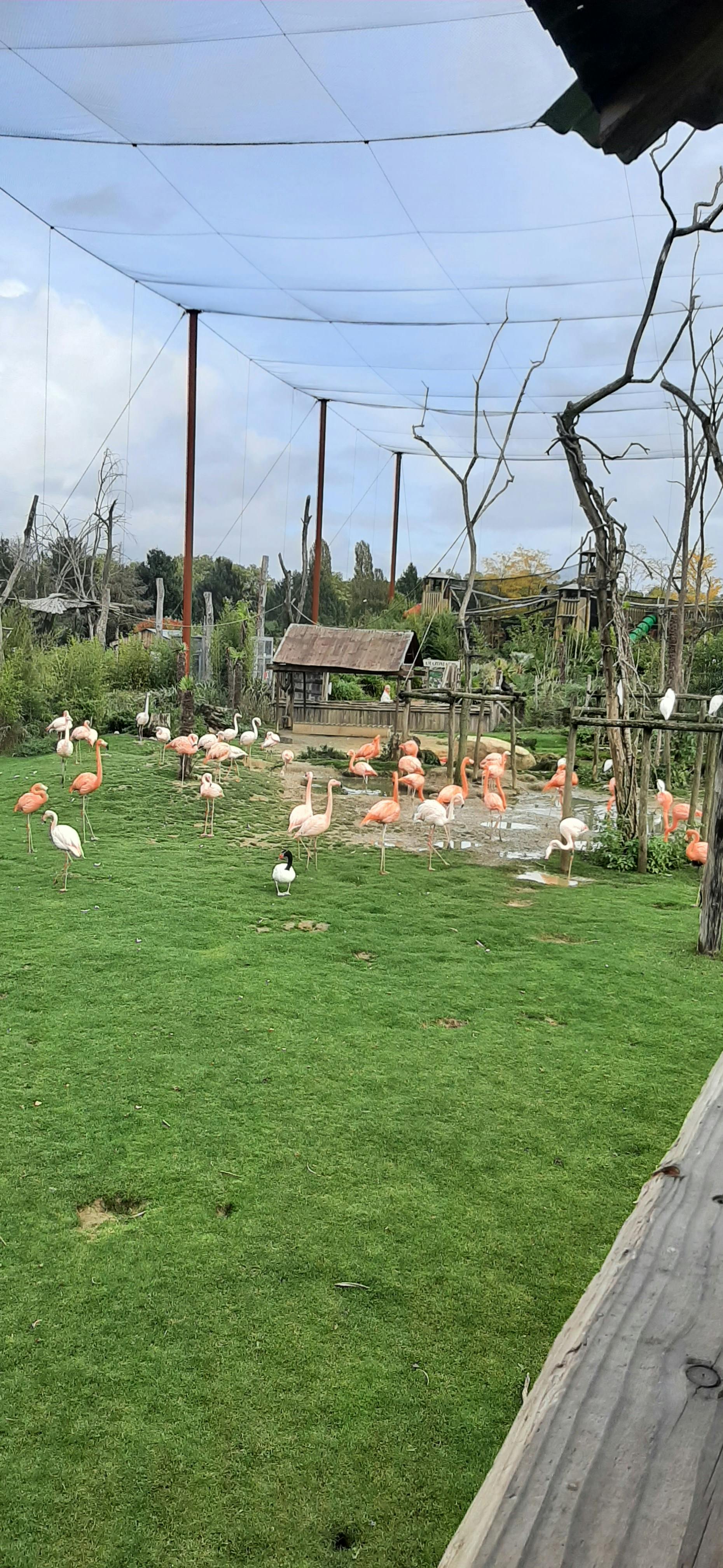 Parrot World - The Immersive Animal Park