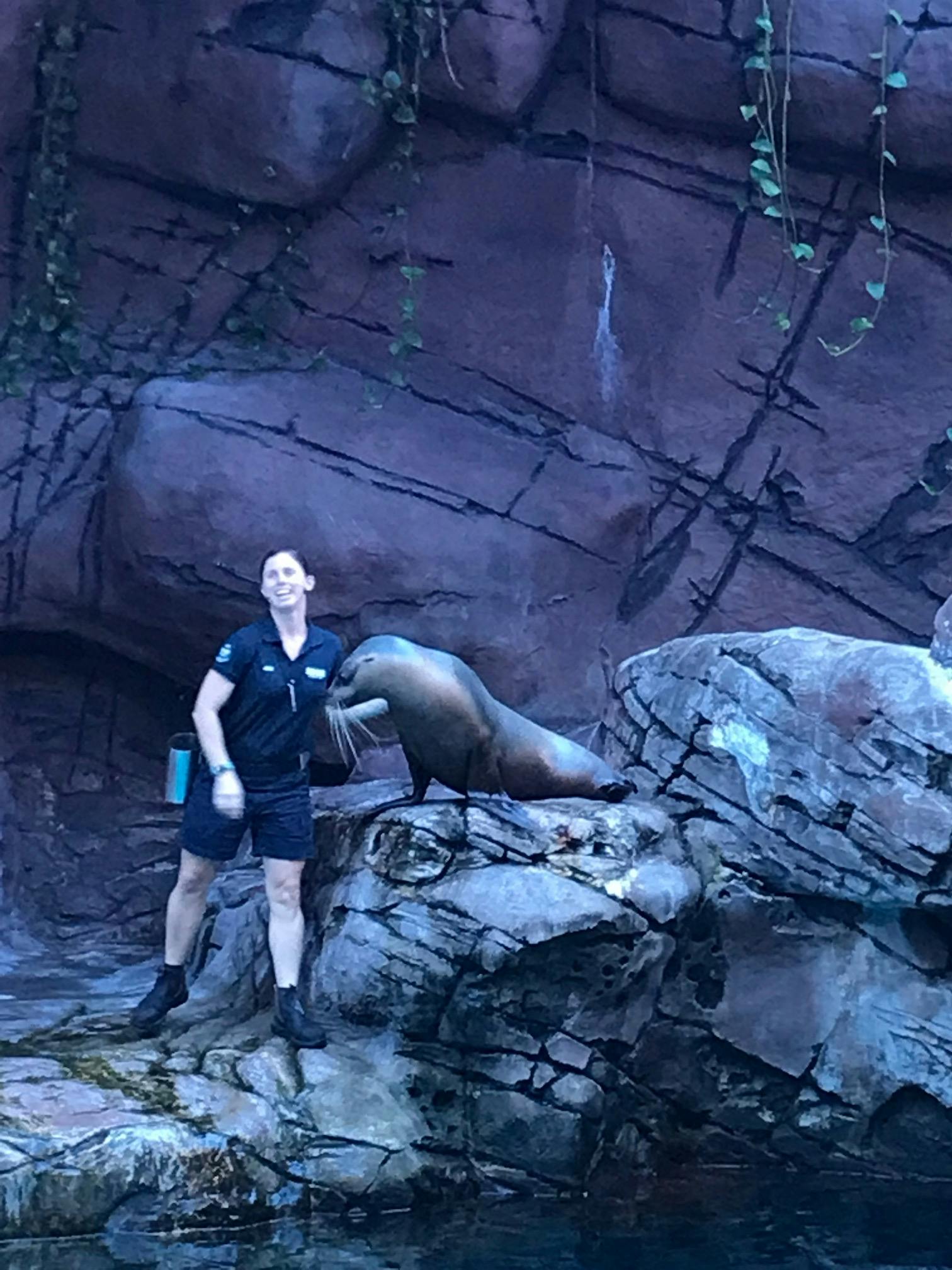 SEA LIFE Sunshine Coast, Mooloolaba | Book Tickets, Tours & More