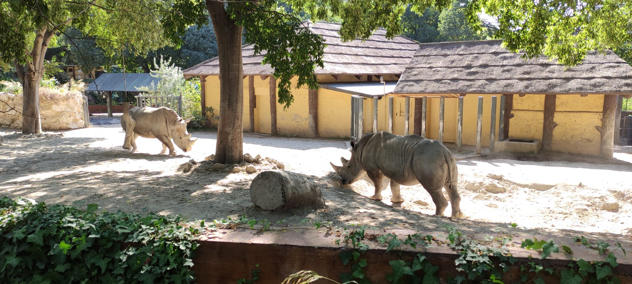 Tickets for Bioparco: The Zoo of Rome | Tiqets
