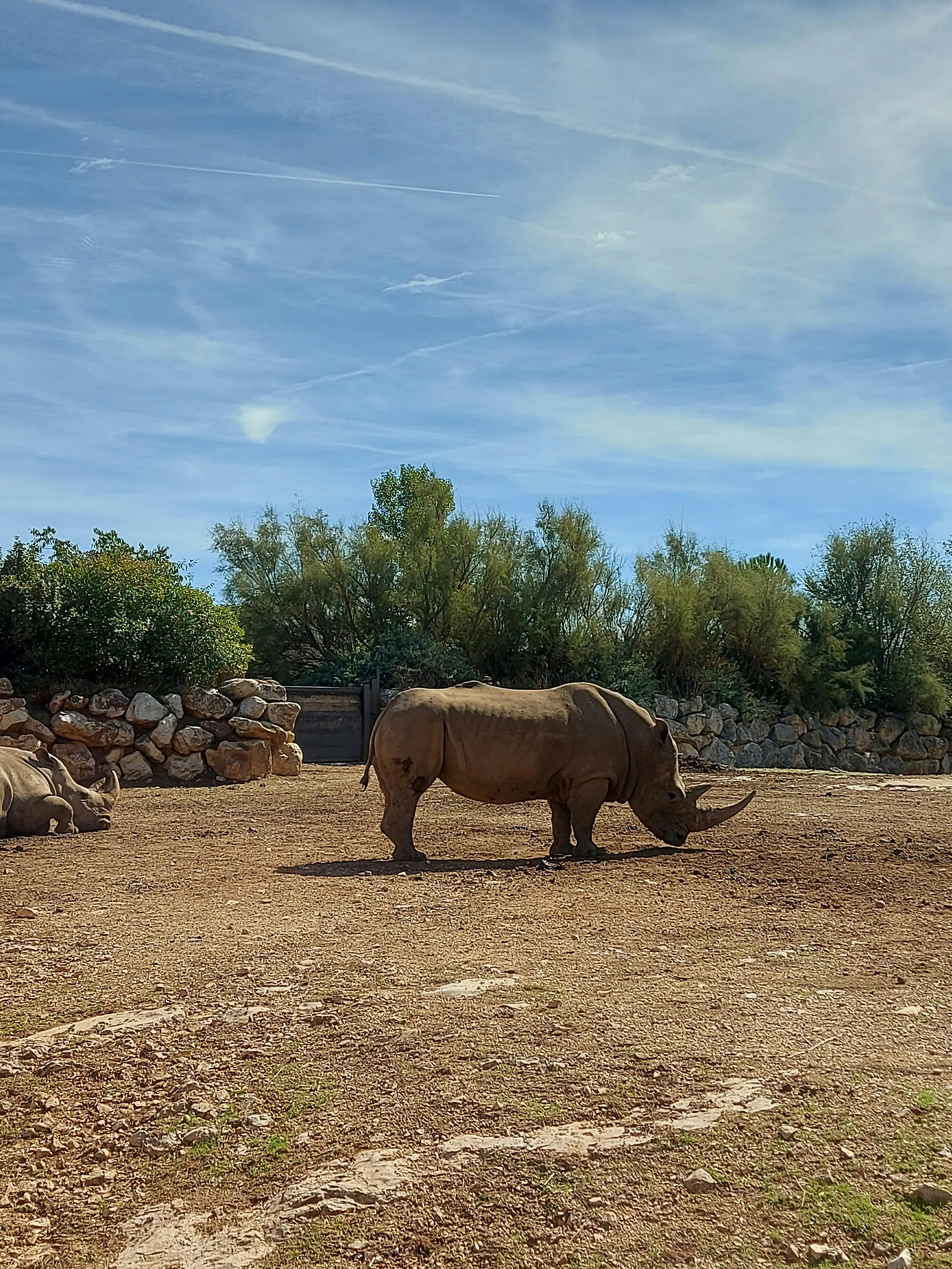 Parc animalier de la Barben : billets | La Barben