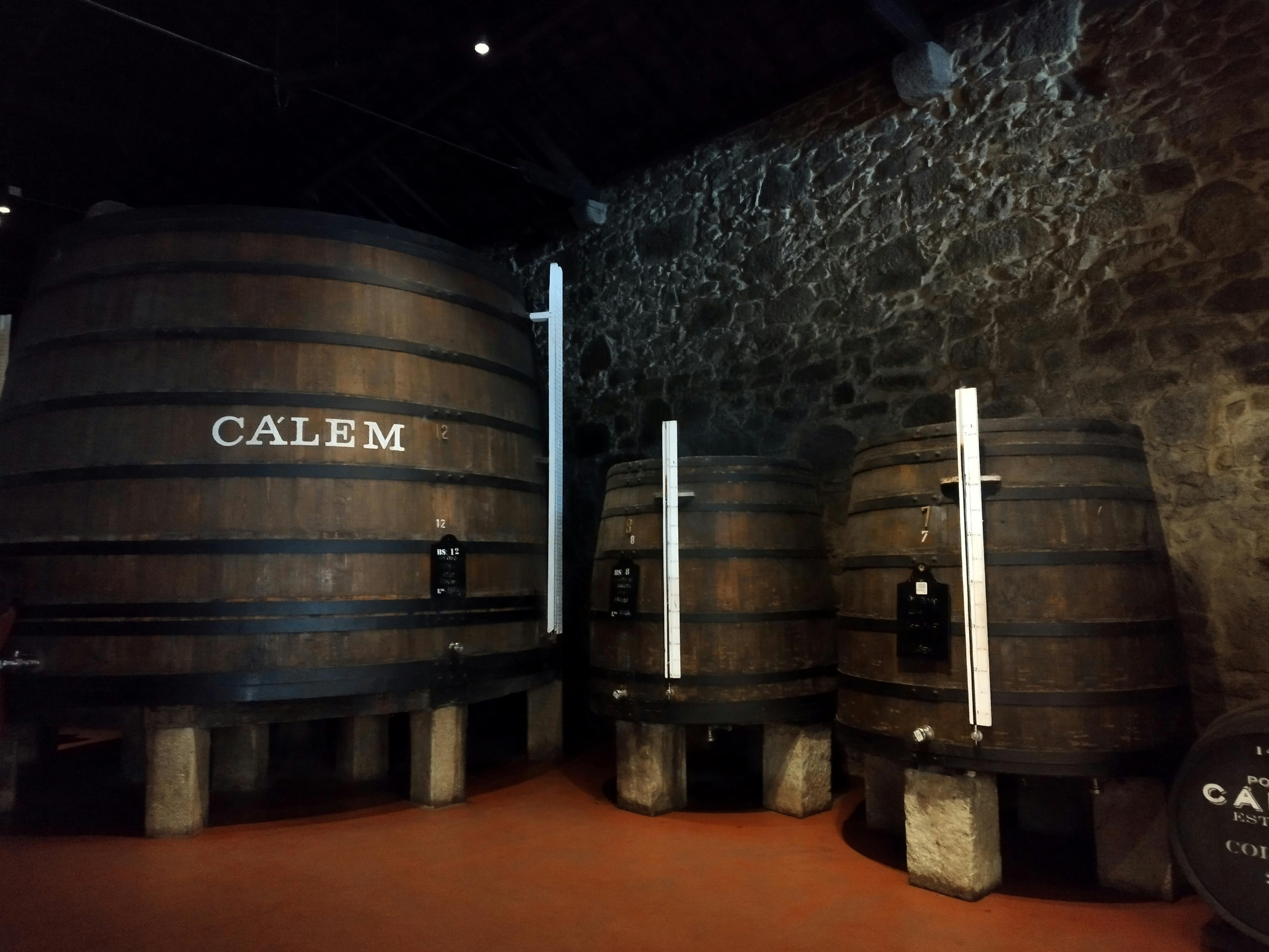 Tickets: Guided Tour of Cálem Caves | Tiqets