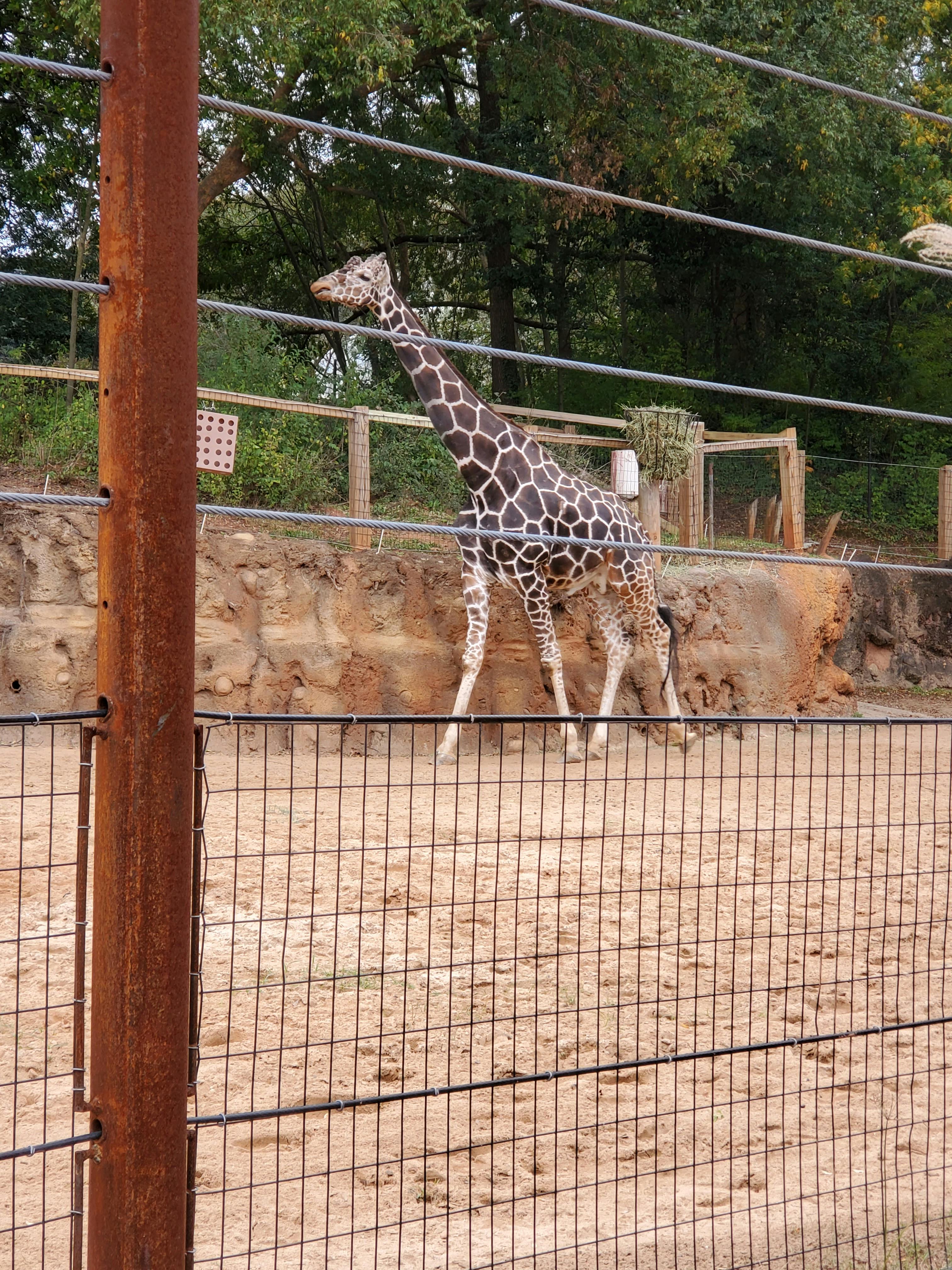 Zoo Atlanta | Tiqets