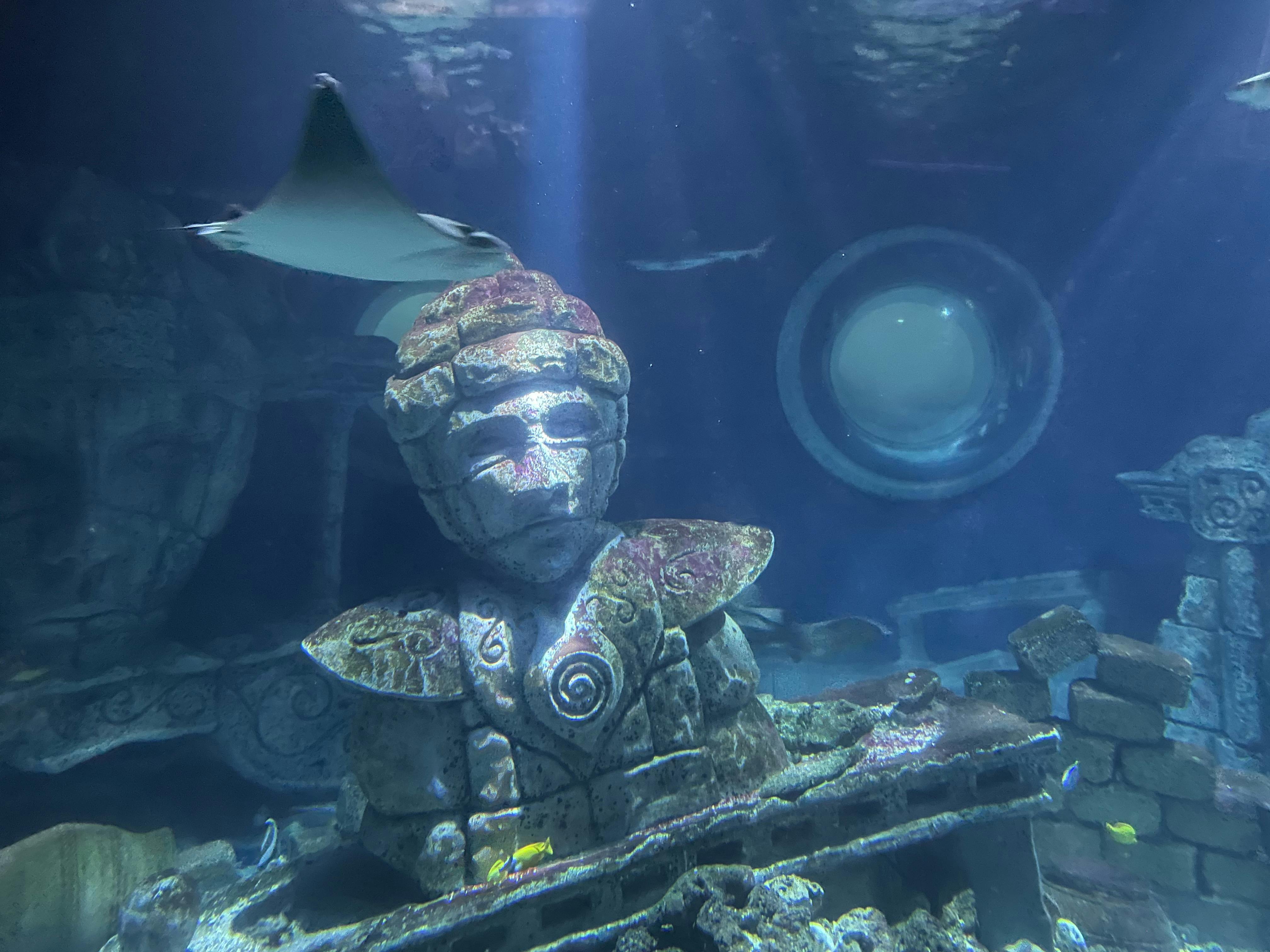 SEA LIFE Paris Aquarium | Tiqets