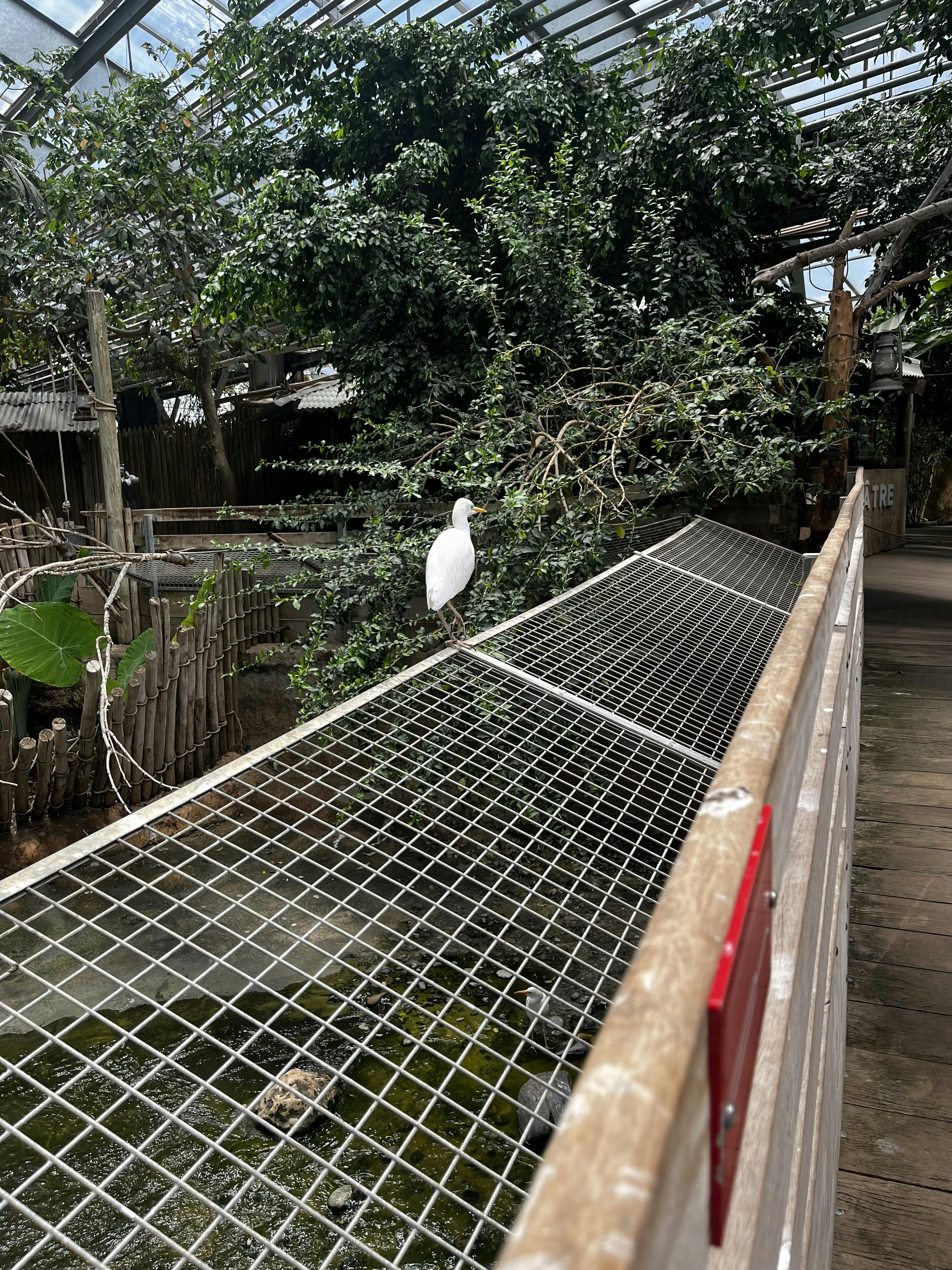 La Ferme aux Crocodiles : billets | Pierrelatte