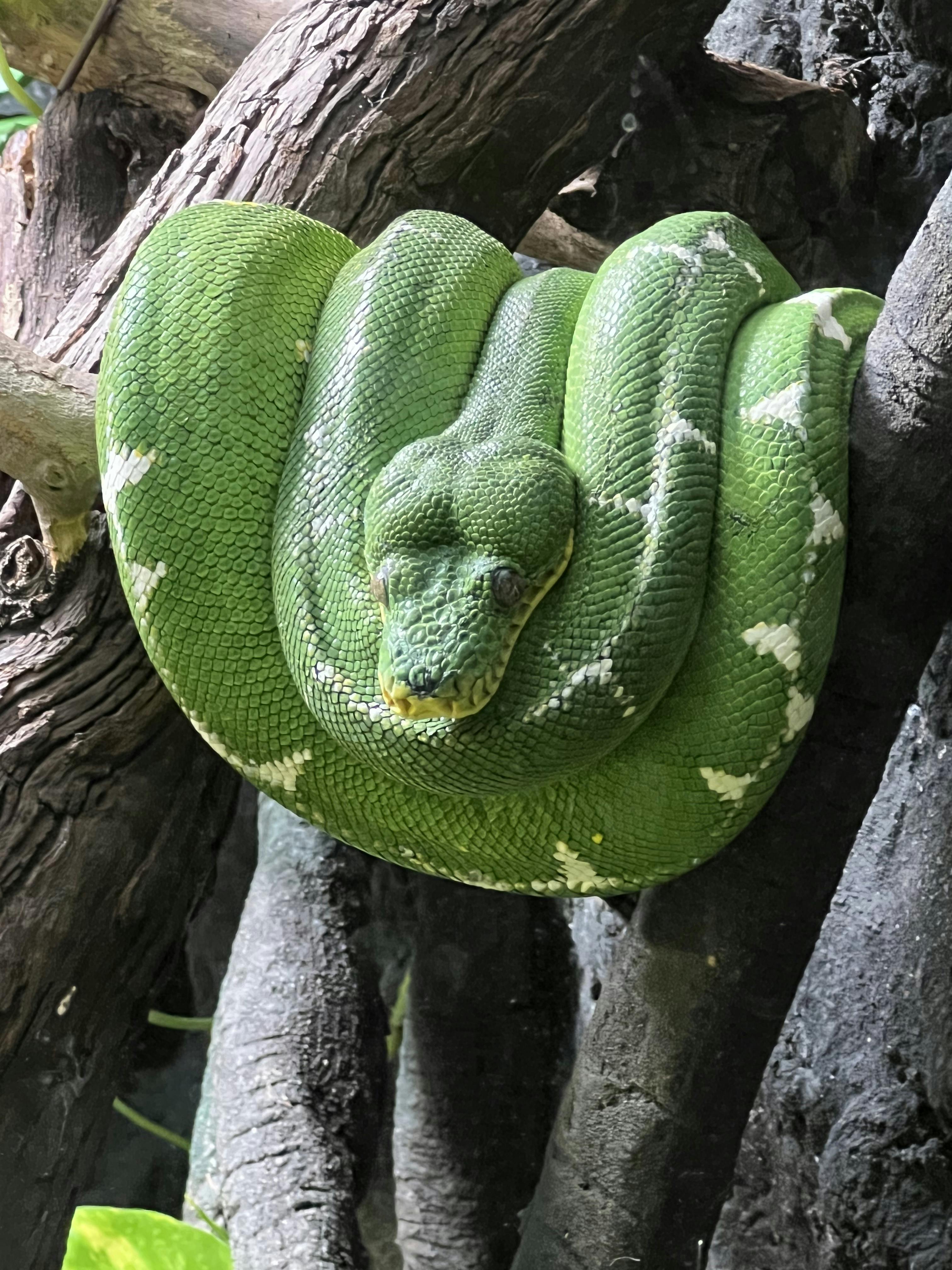 ZSL London Zoo Tickets - London | Tiqets.com