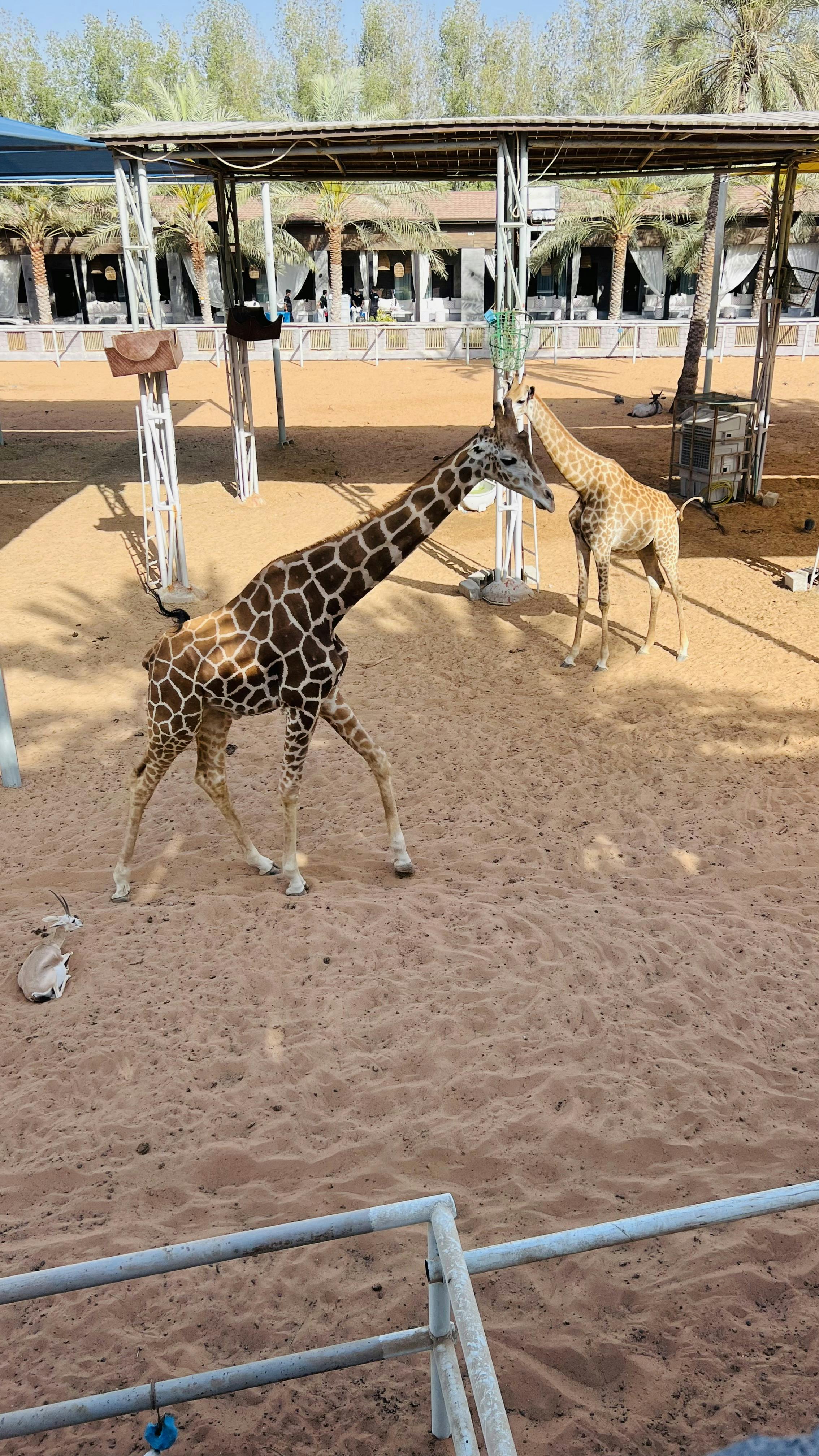Emirates Park Zoo tickets | Abu Dhabi