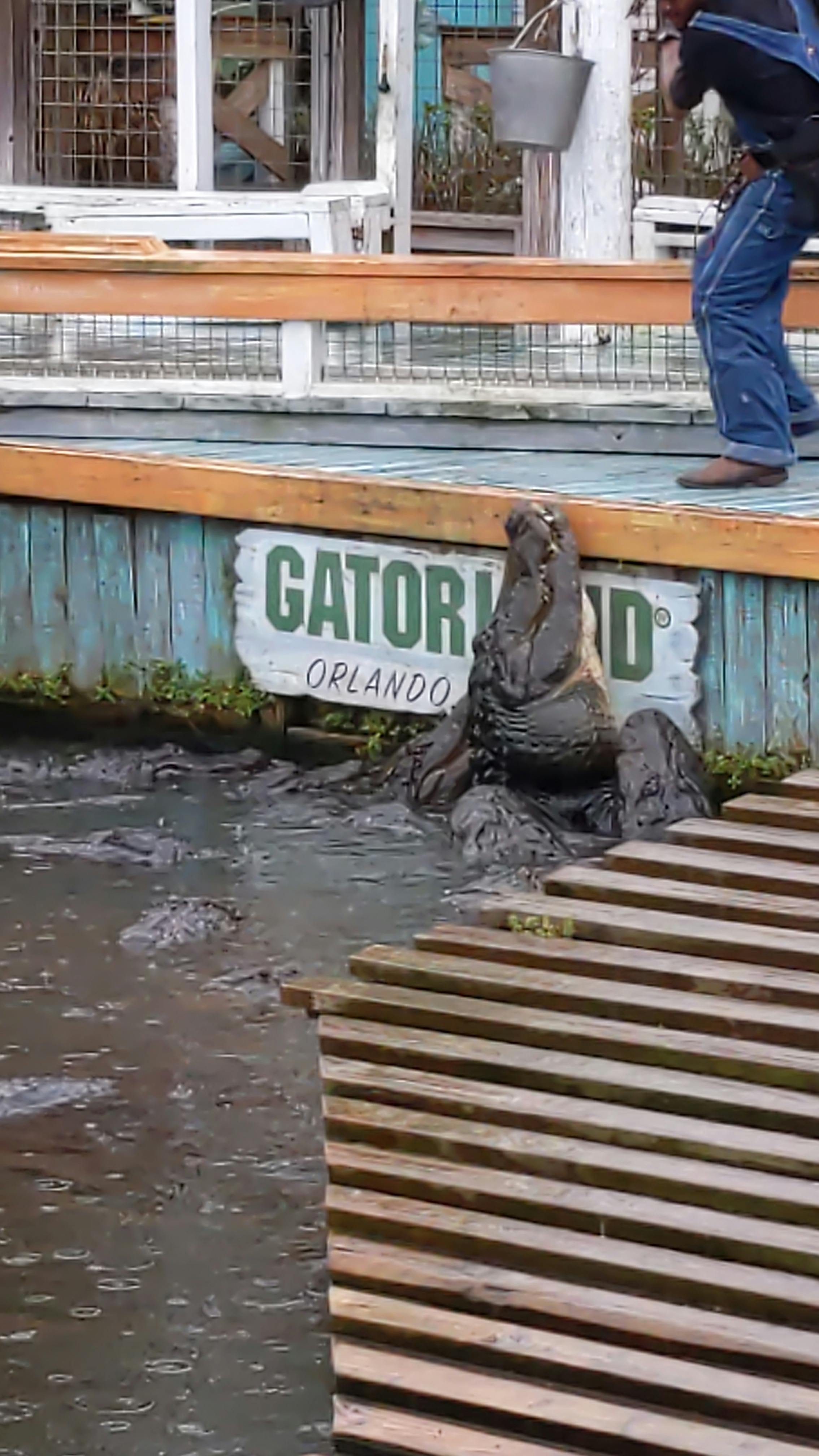 Gatorland General Admission: Fast Track Ticket | Tiqets