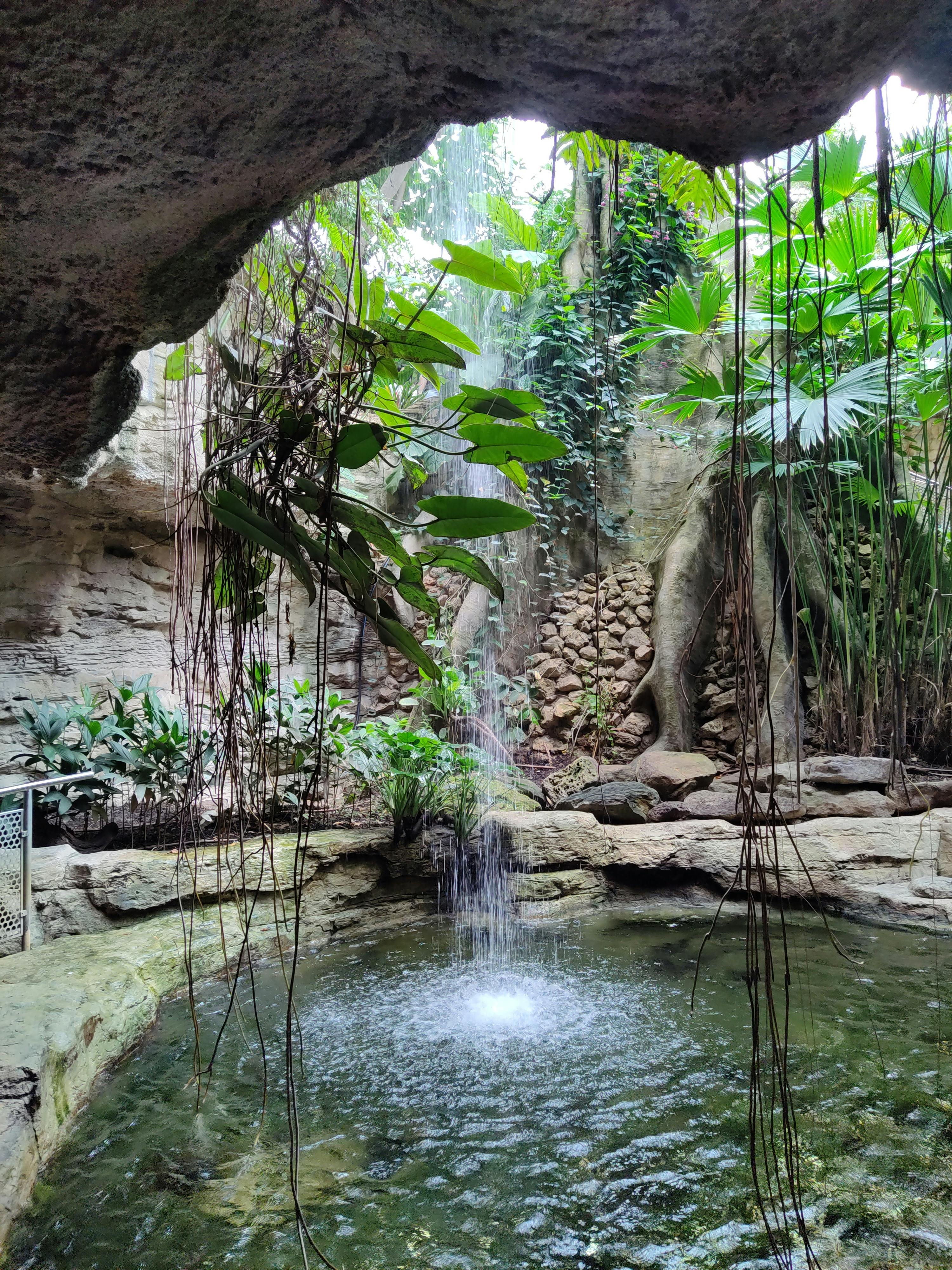 Tickets for Cockrell Butterfly Center | Tiqets