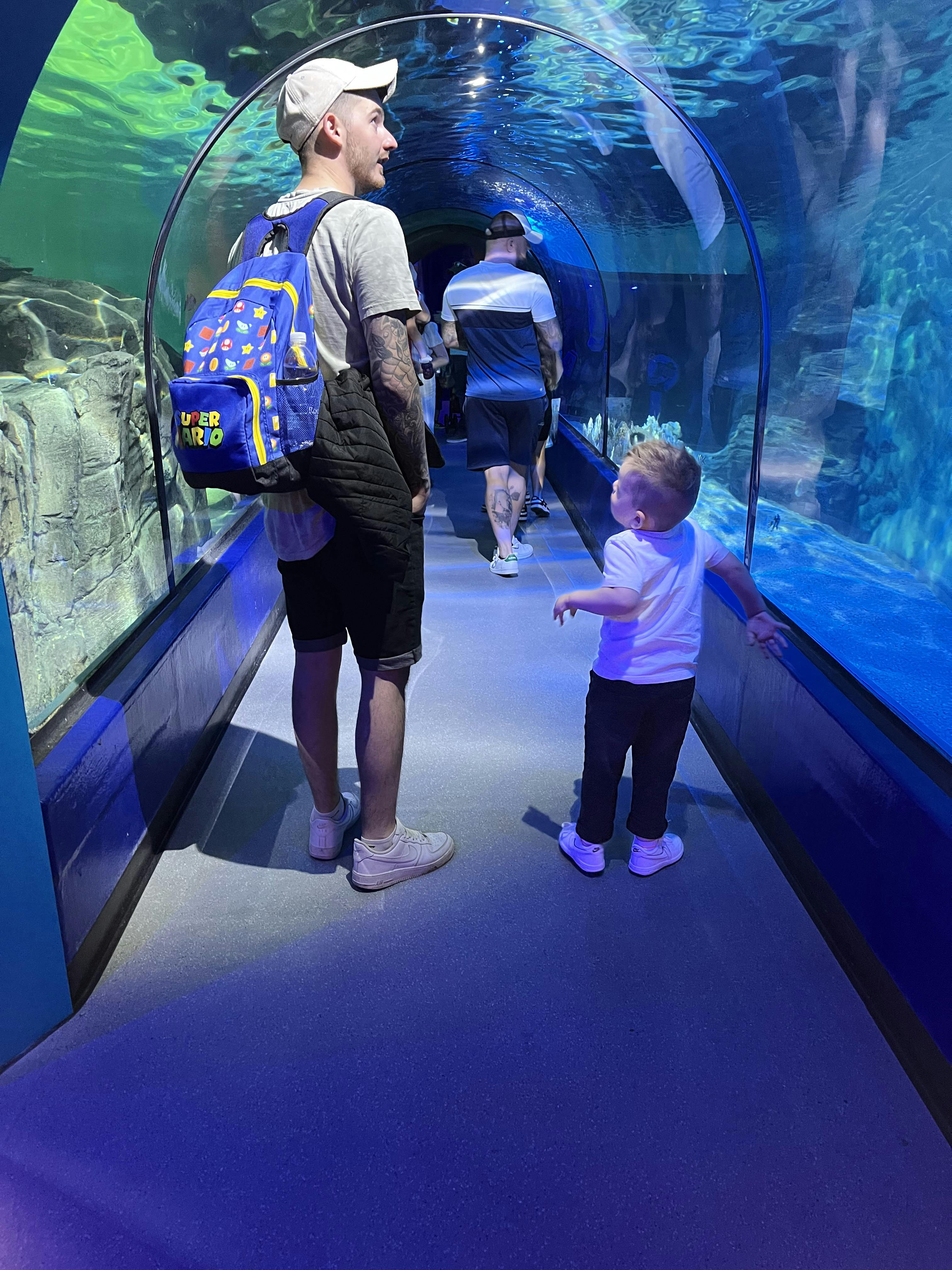 Exploris Aquarium tickets | Portaferry