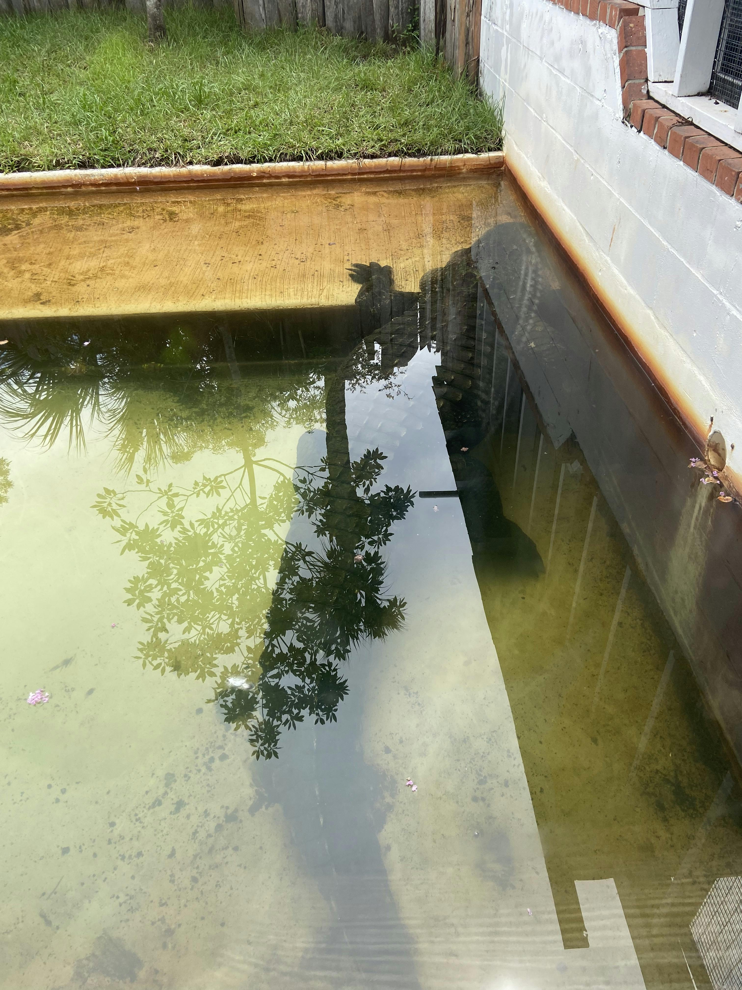 Gatorland Orlando General Admission: Fast Track Ticket