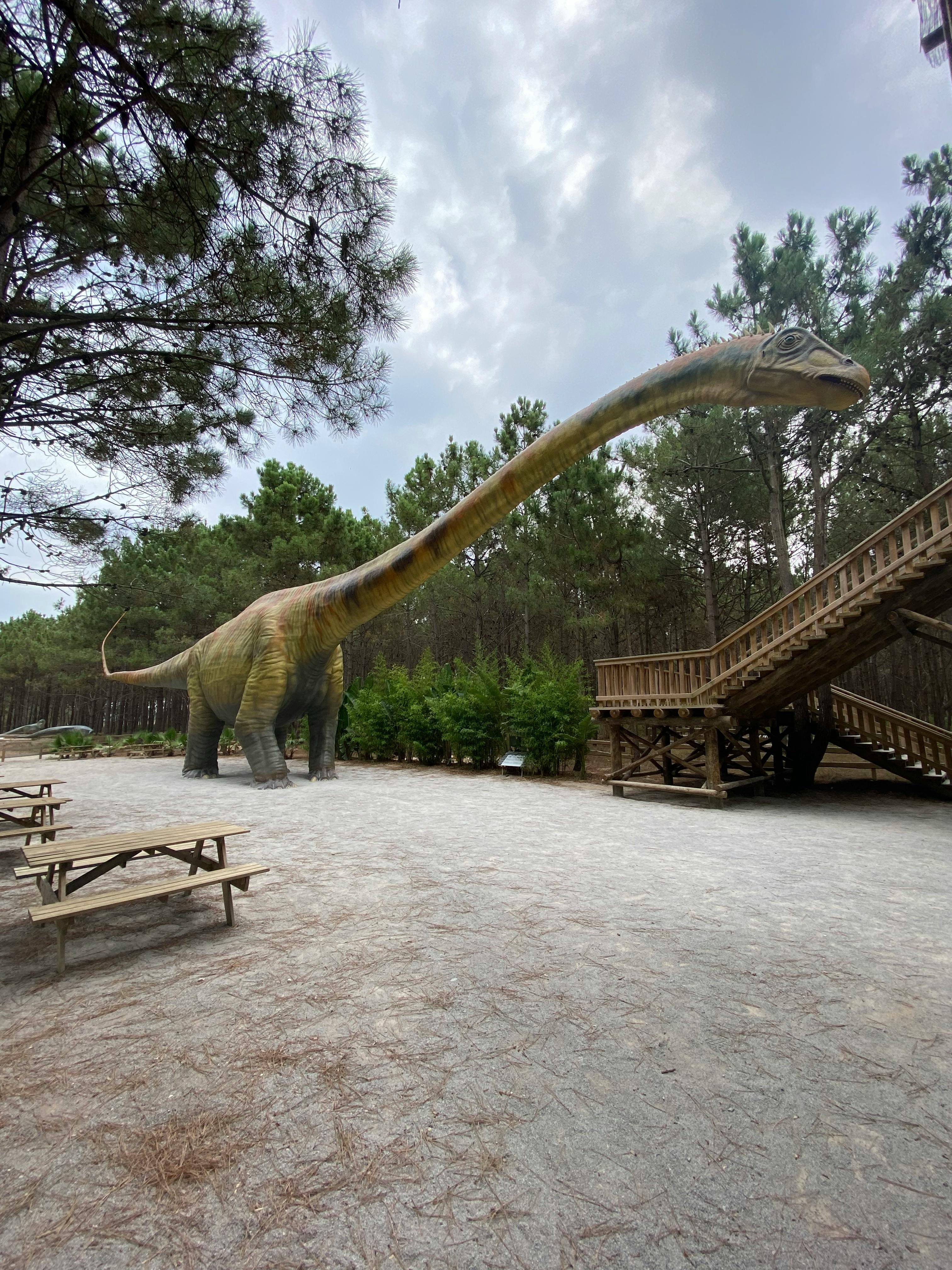 Bilhetes Dino Parque Lourinhã | Lourinha