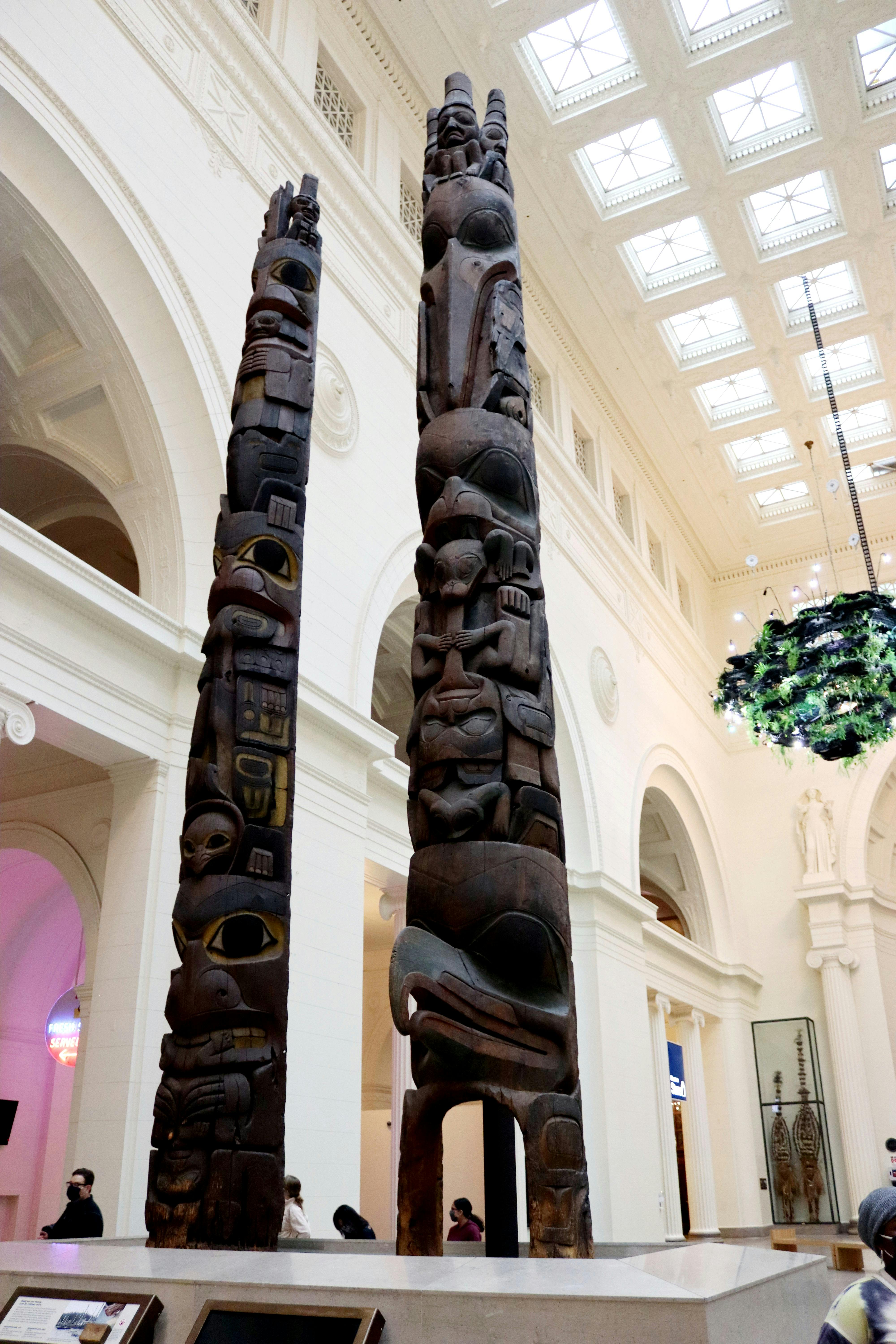 The Field Museum of Natural History Tickets | Tiqets