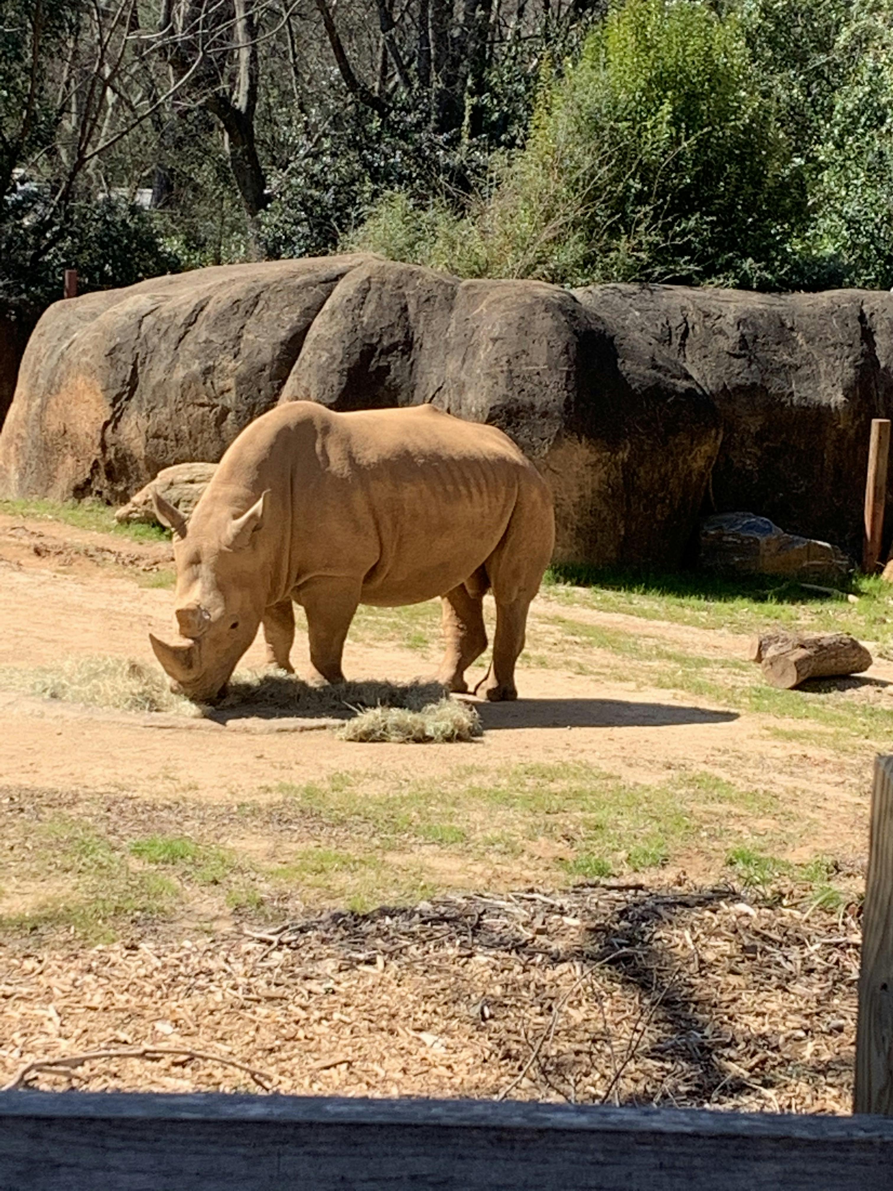 Tickets Zoo Atlanta - Atlanta | Tiqets.com