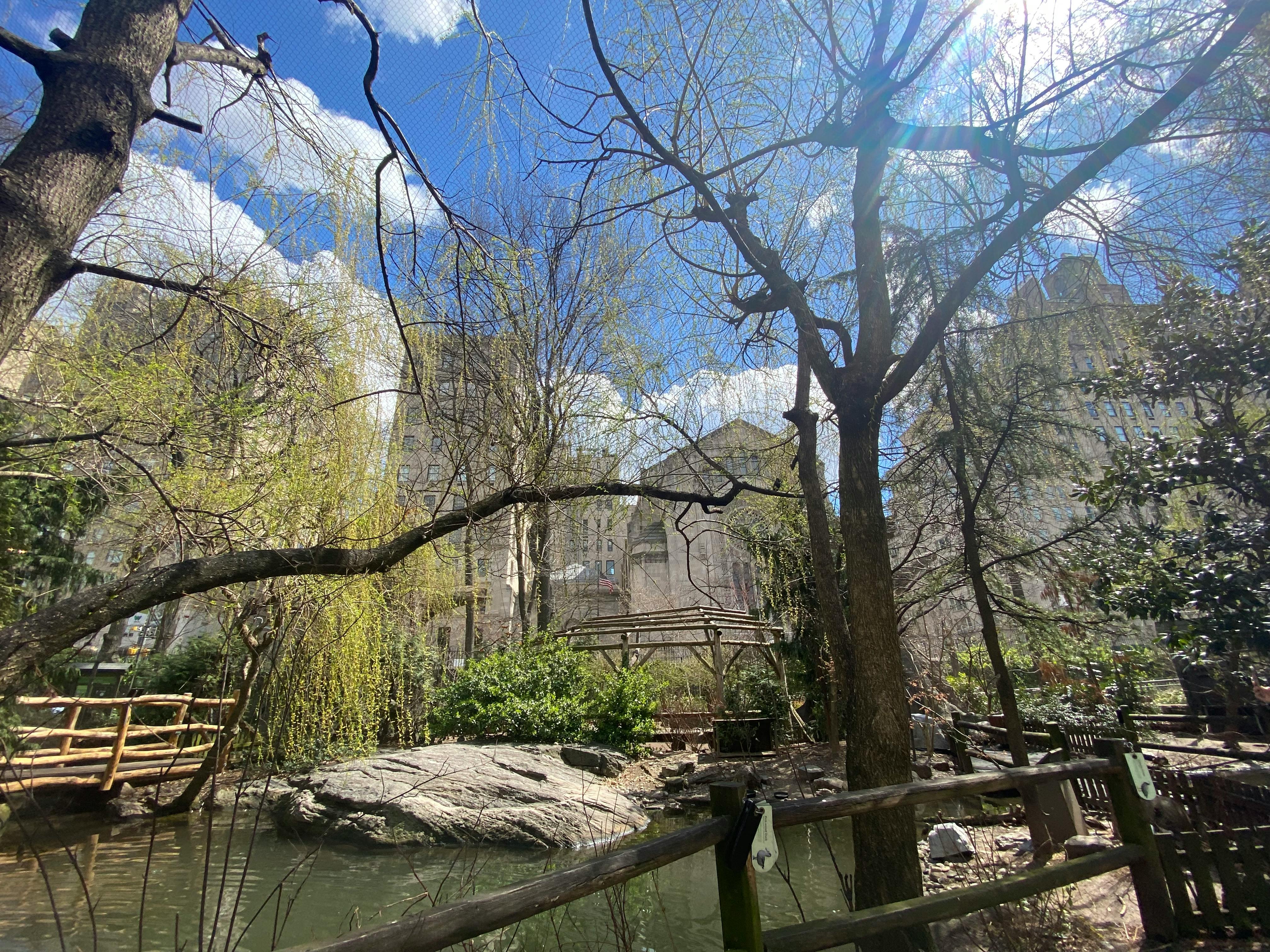 Tickets: Central Park Zoo, Manhattan New York | Tiqets