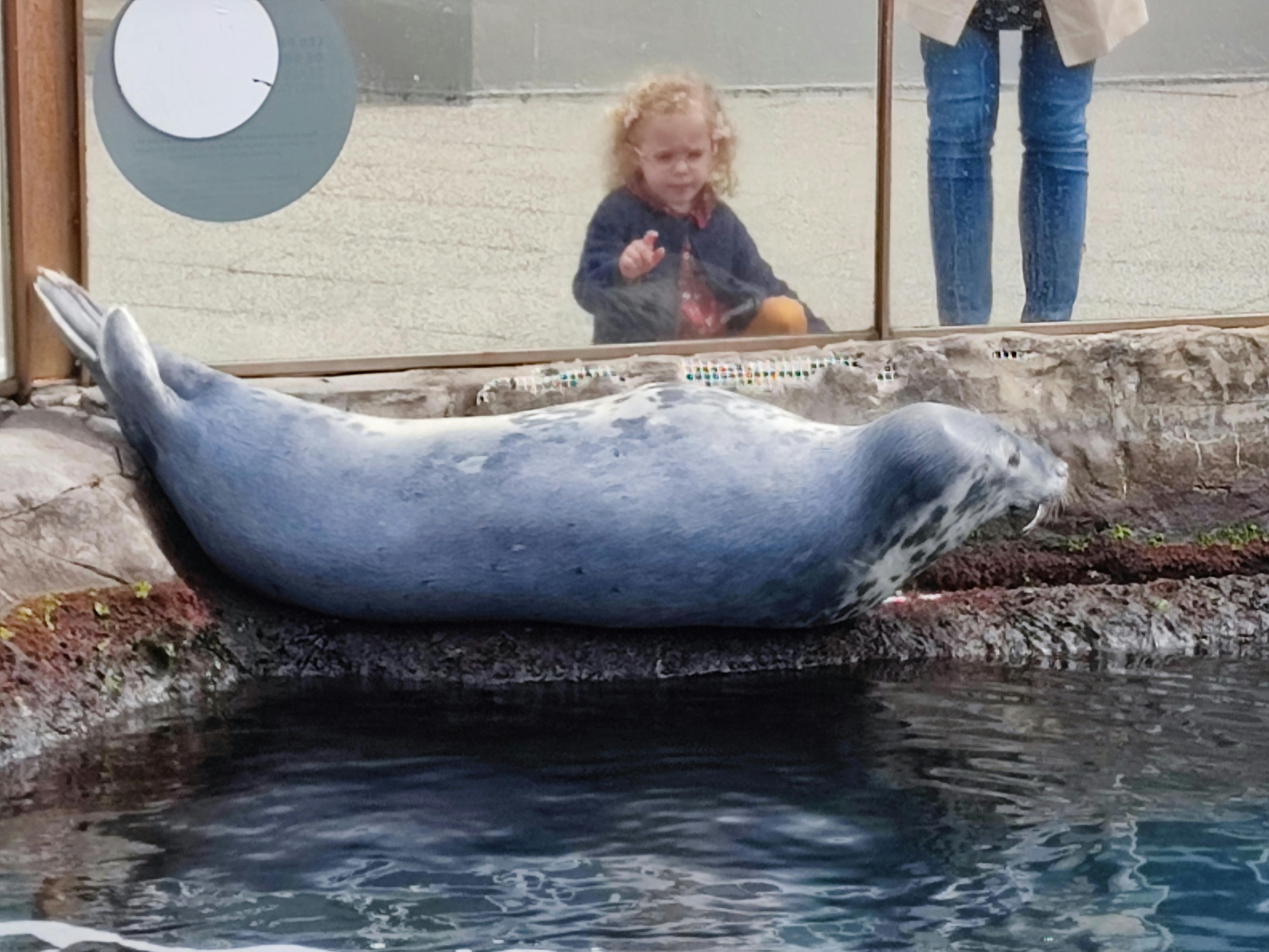 Océanopolis tickets | Brest