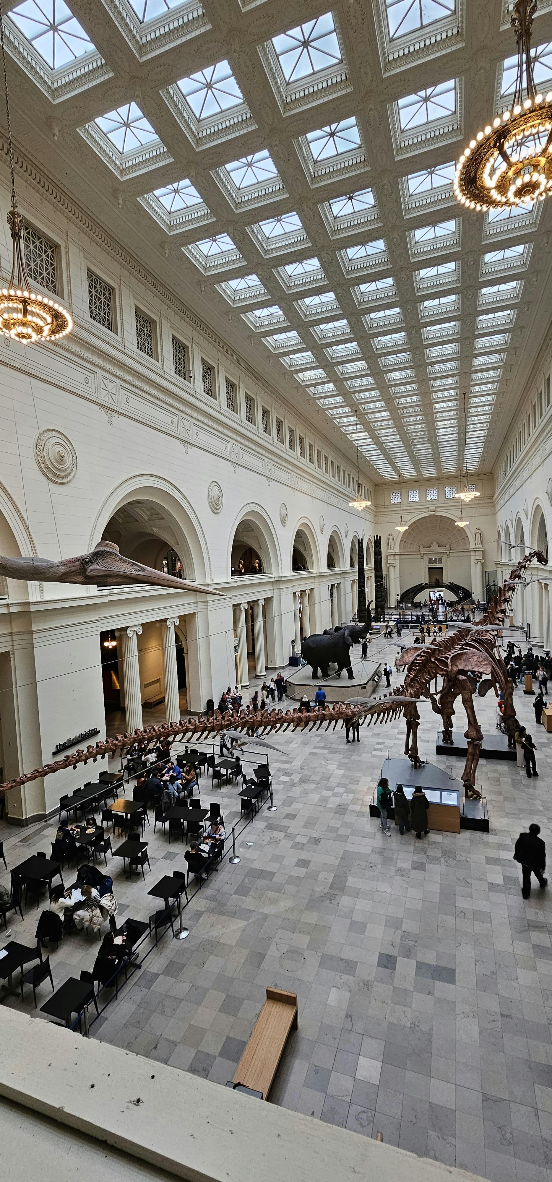 The Field Museum of Natural History