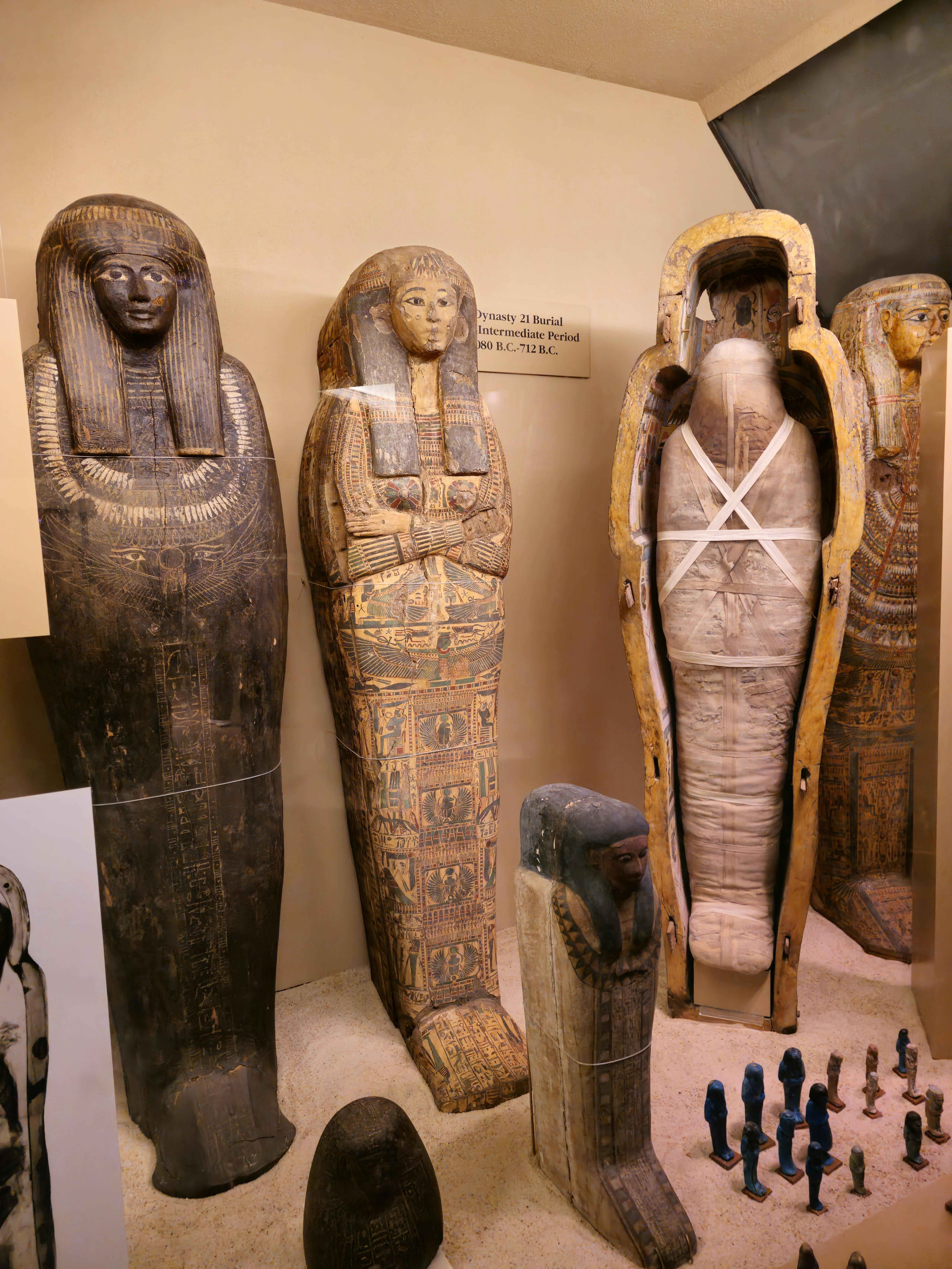 The Field Museum of Natural History