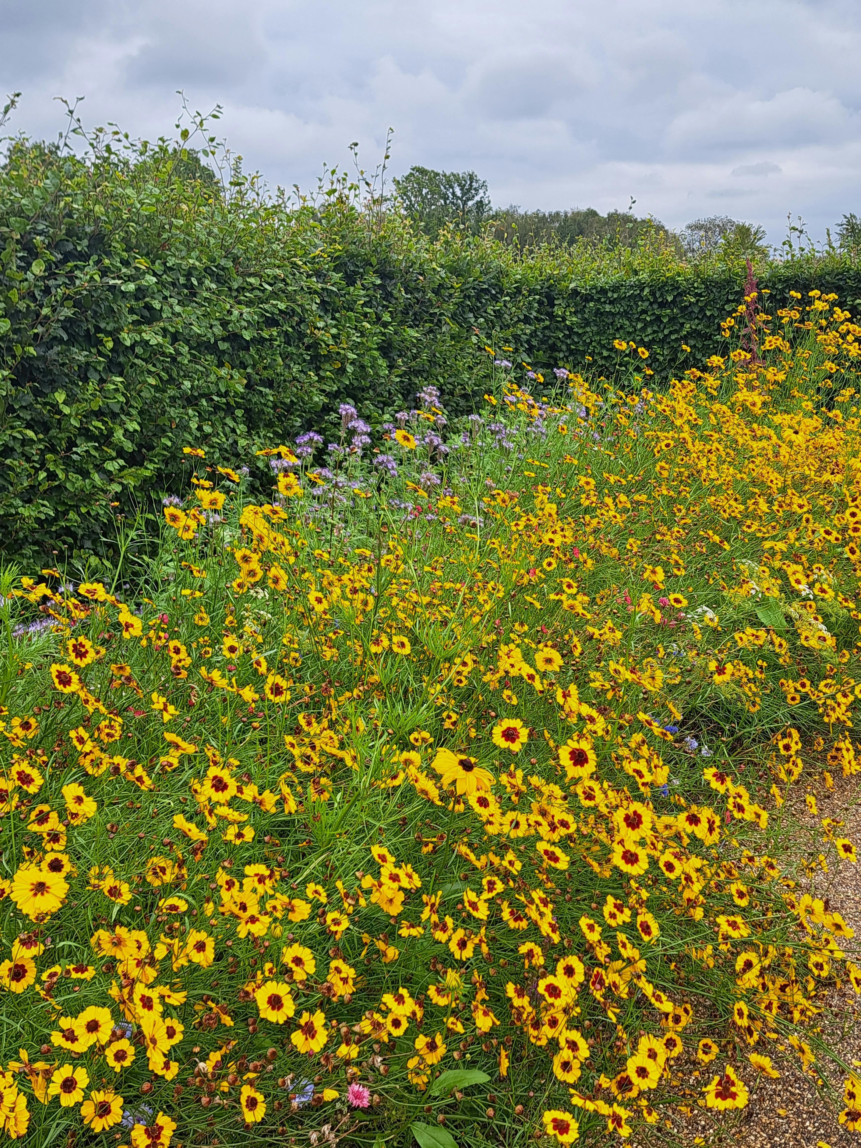 RHS Garden Bridgewater tickets | Manchester