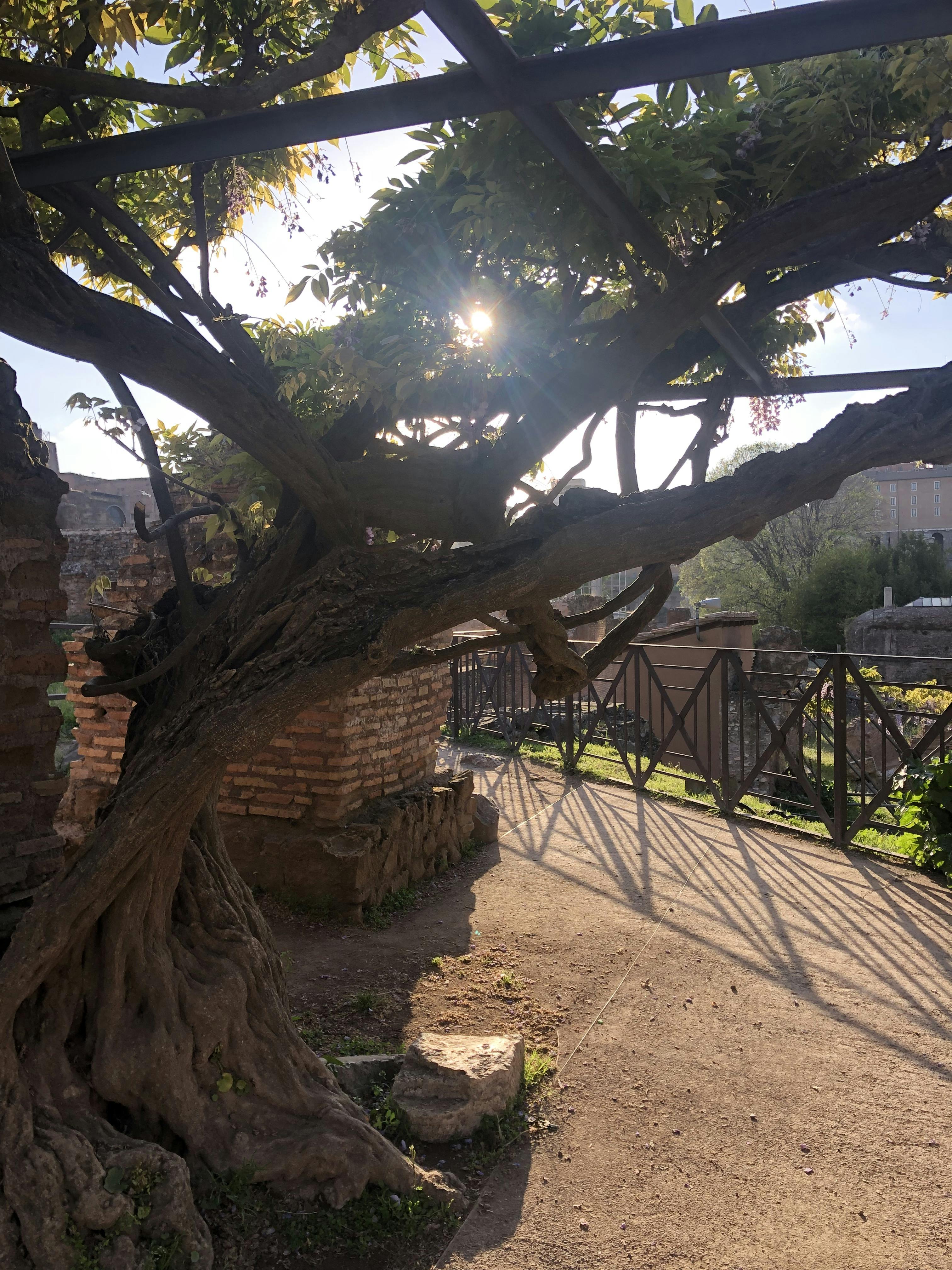 Mamertine Prison (Carcer Tullianum Museo) Tickets - Rome | Tiqets.com