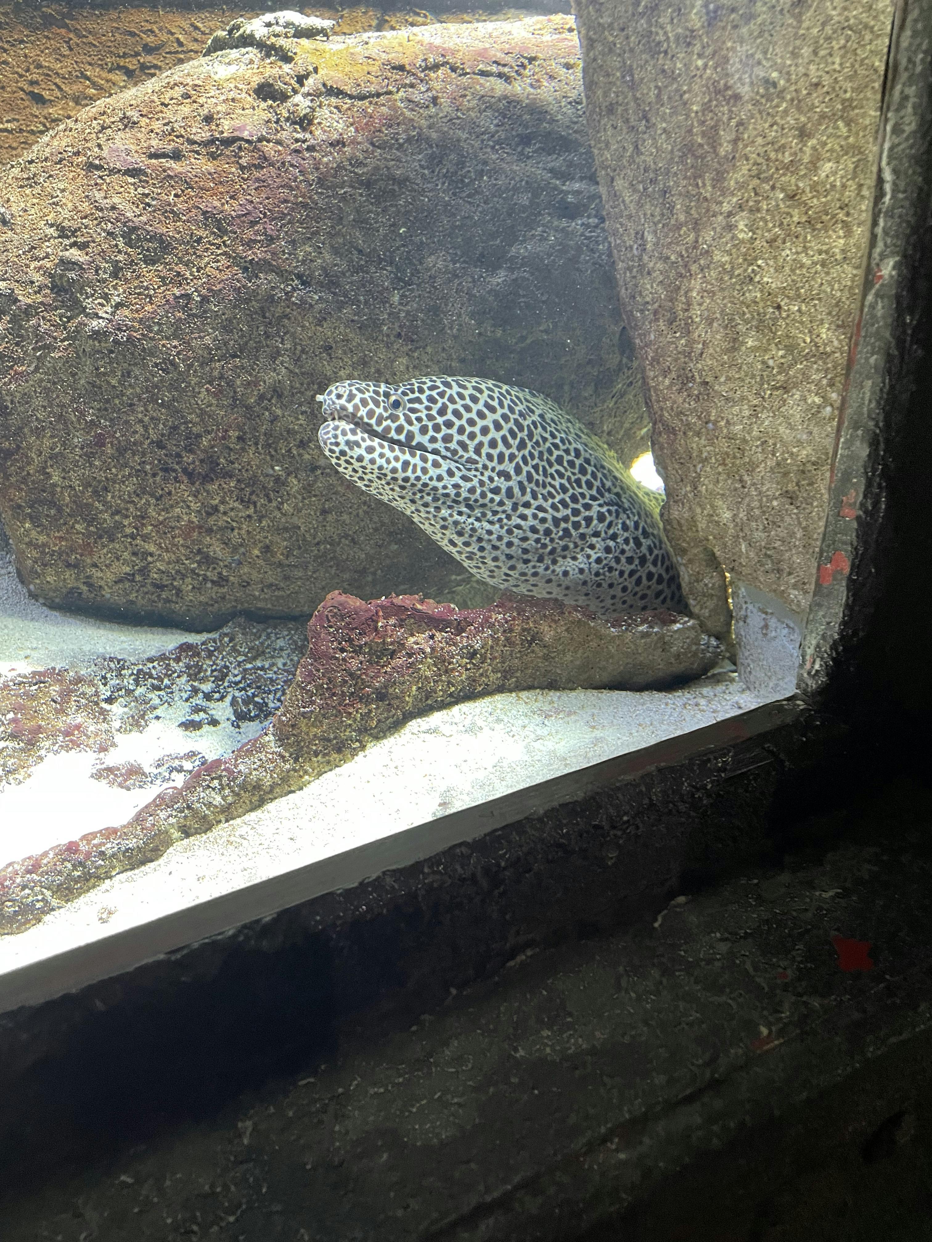 Amnéville Aquarium tickets | Amnéville