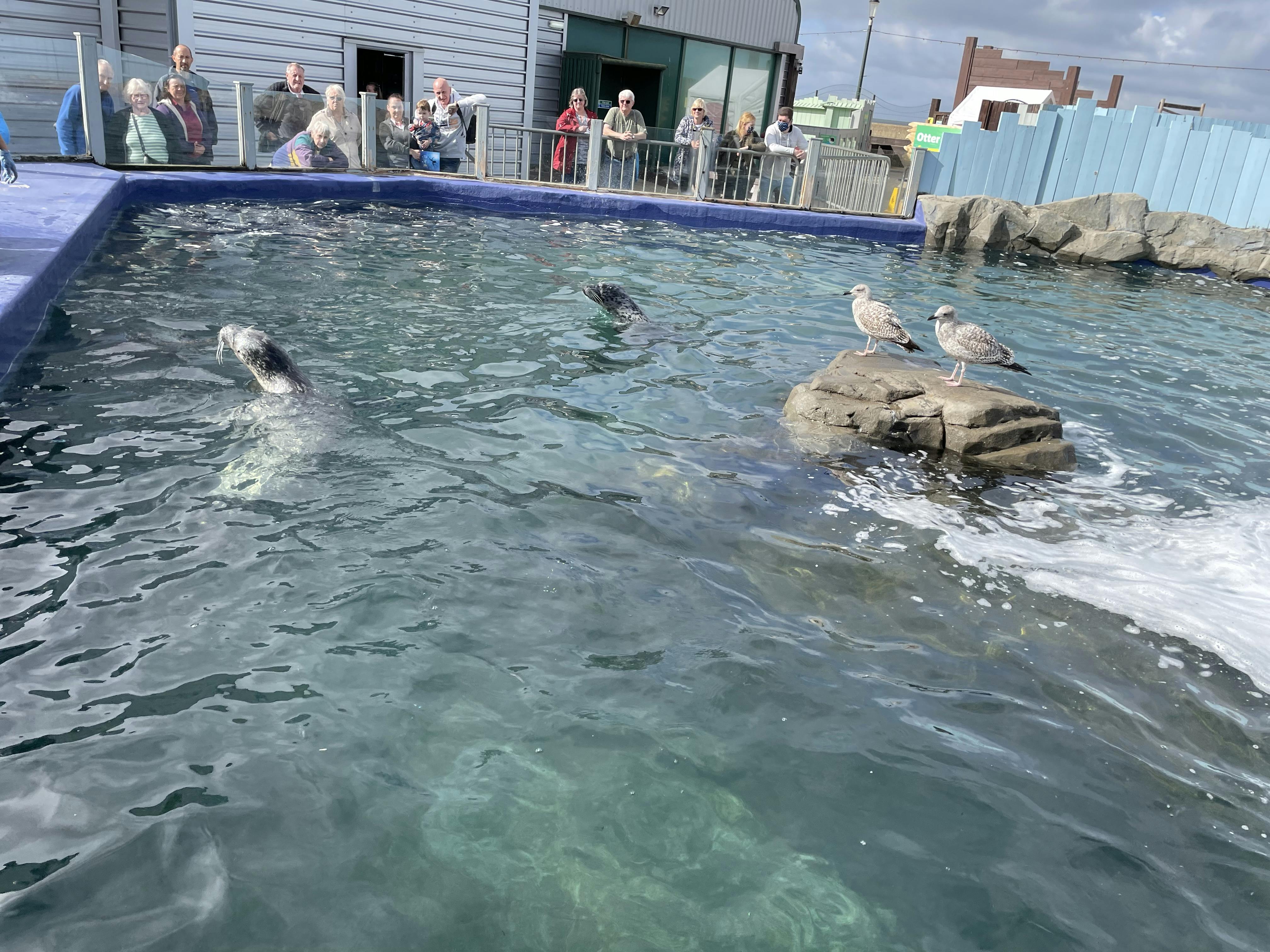 SEA LIFE Hunstanton tickets | Hunstanton