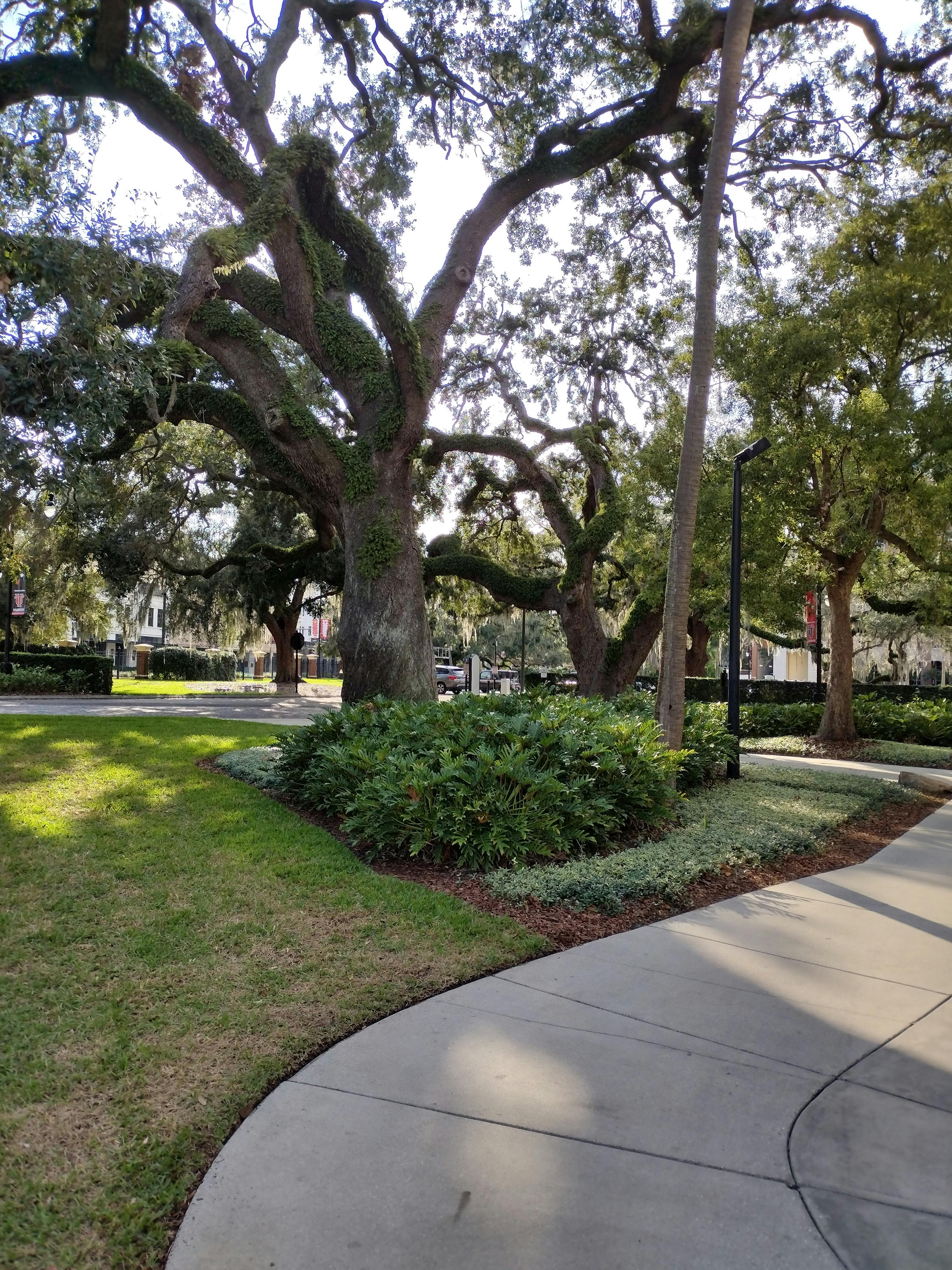 Henry B. Plant Museum: Victorian Christmas Stroll