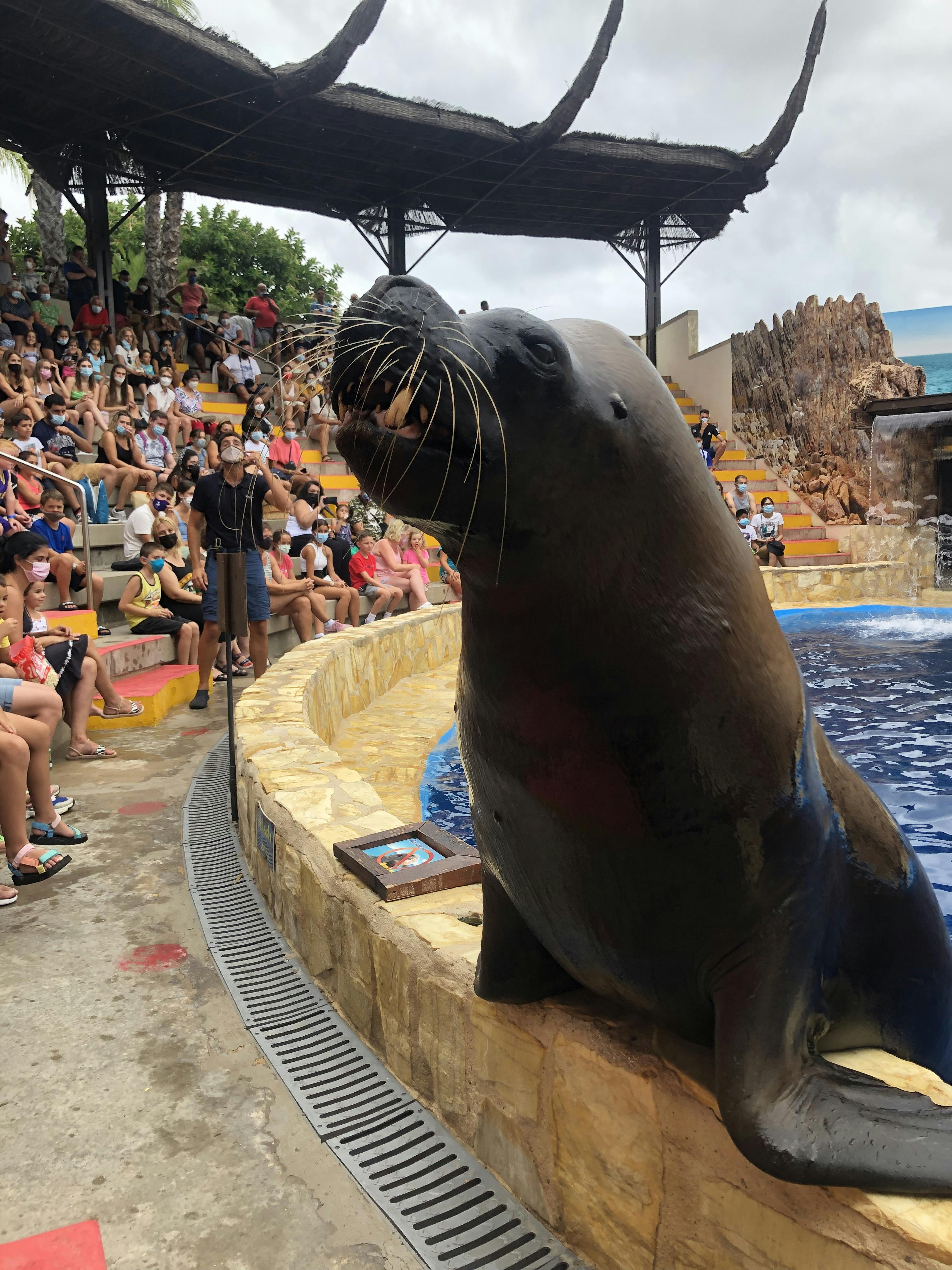 Entradas Mundomar Benidorm | Benidorm