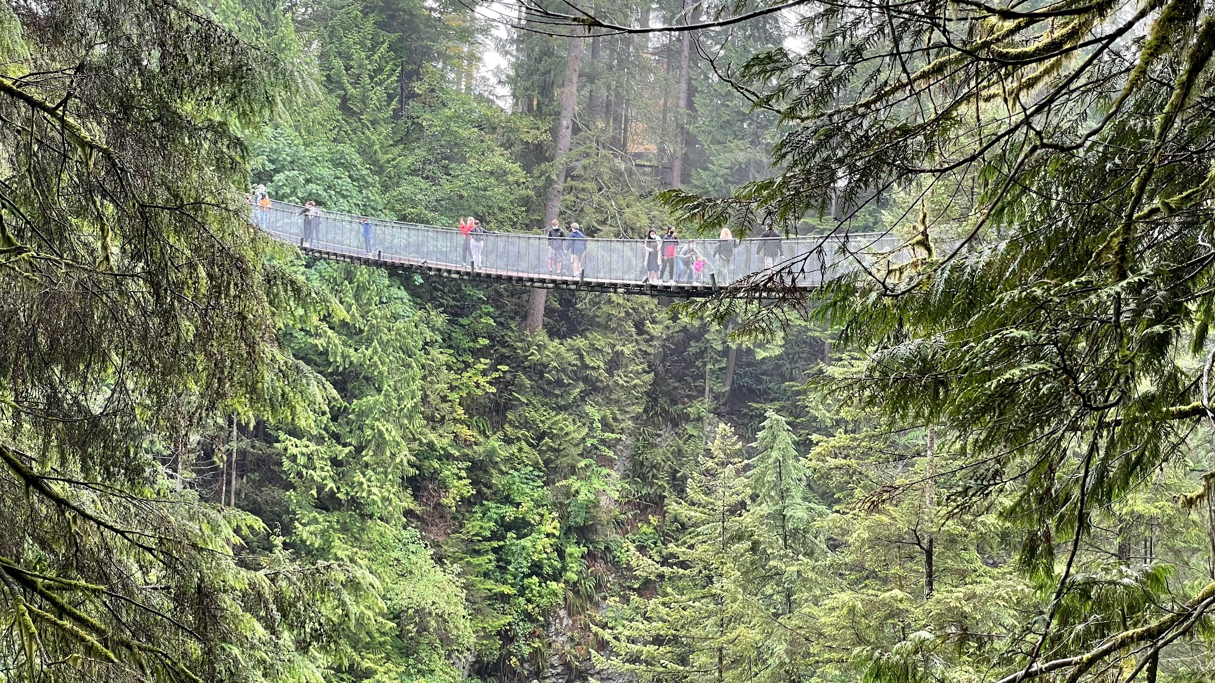 Tickets for Capilano Suspension Bridge Park | Tiqets