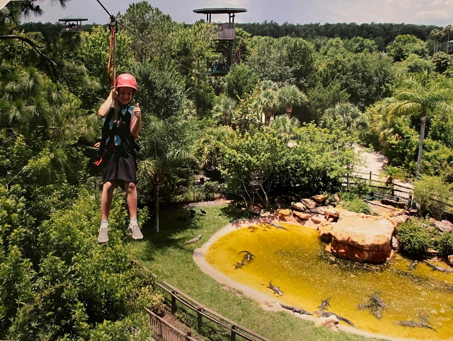 Gatorland Orlando: Screamin' Gator Zip Line | Tiqets