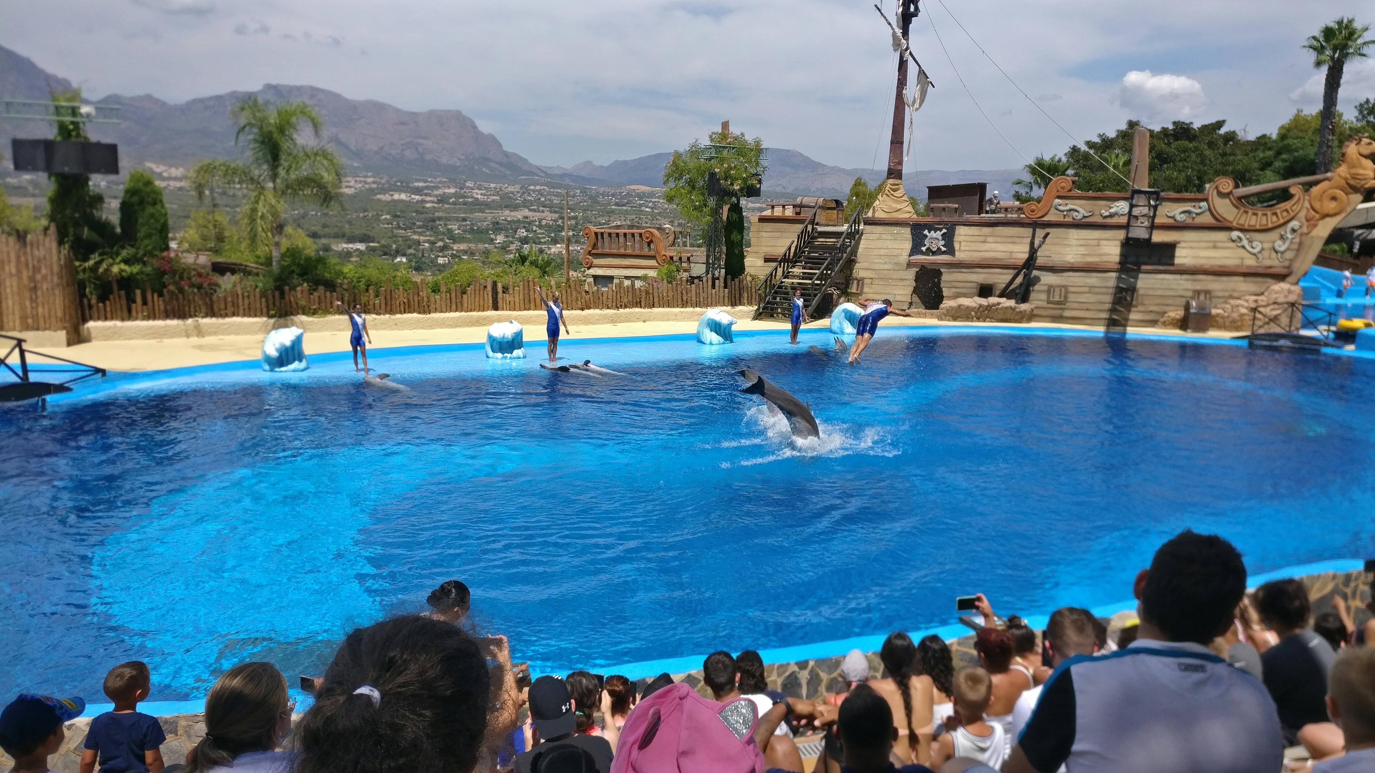 Tickets Mundomar Benidorm - Benidorm | Tiqets.com