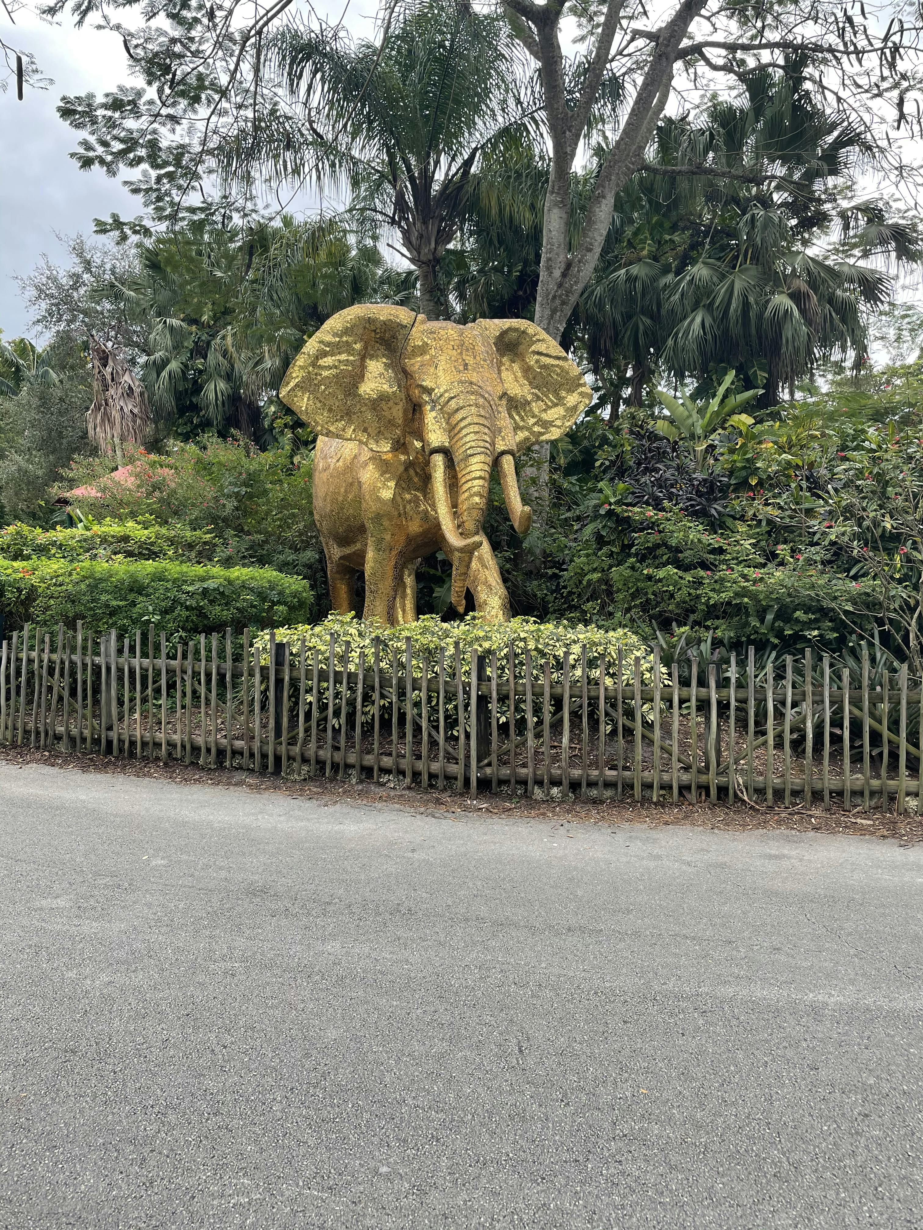 Tickets for Miami Zoo - Florida Wildlife Fun | Tiqets