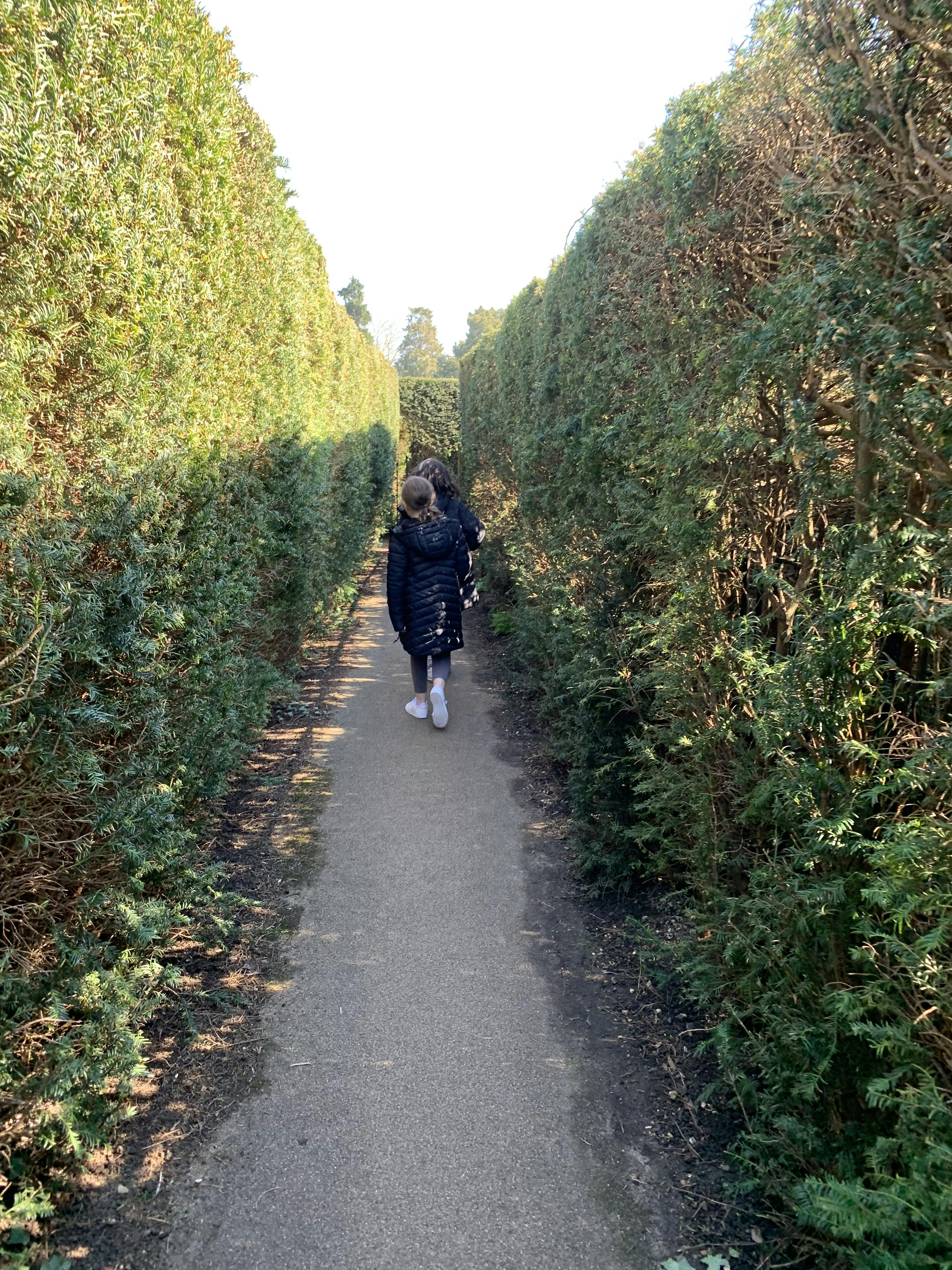 Hampton Court Palace, Gardens & Maze Tickets